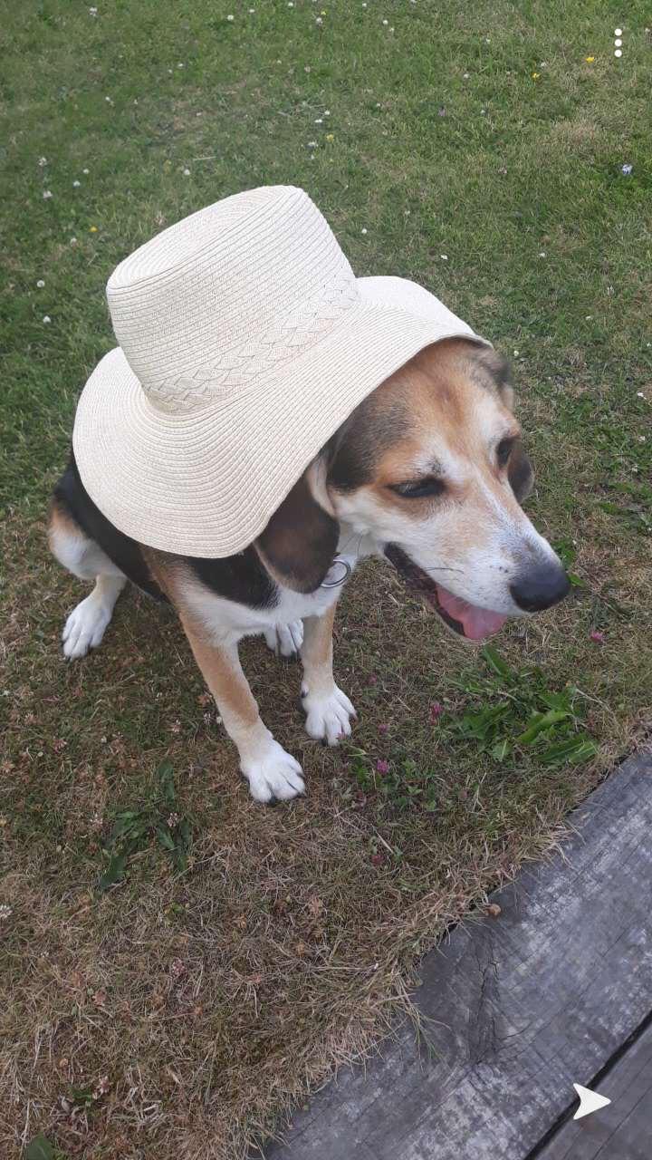 She rlly do be vibing tho | Scrolller