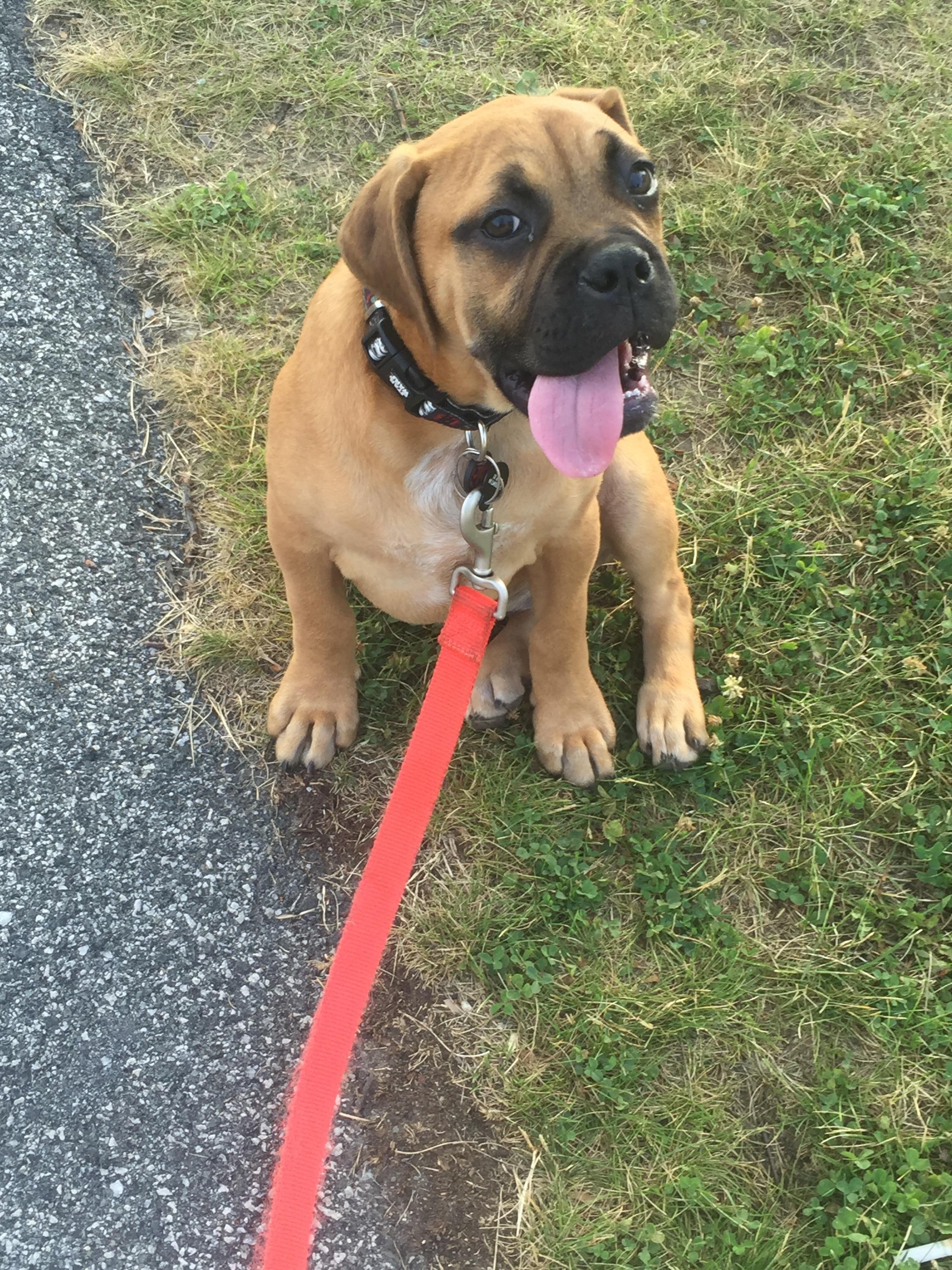 She’s a heartthrob | Scrolller