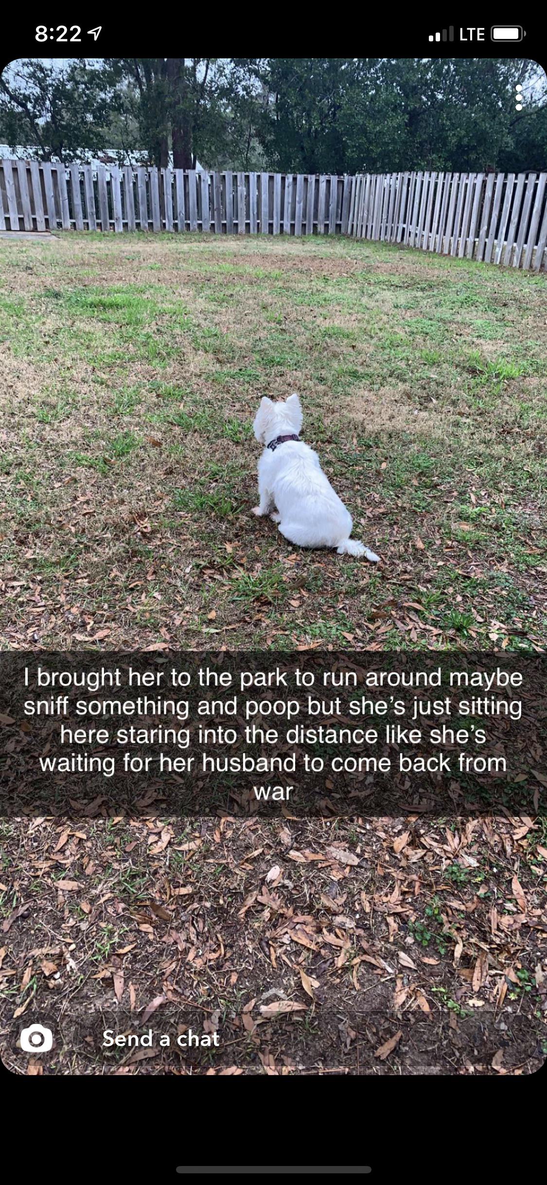 She’s an old soul | Scrolller