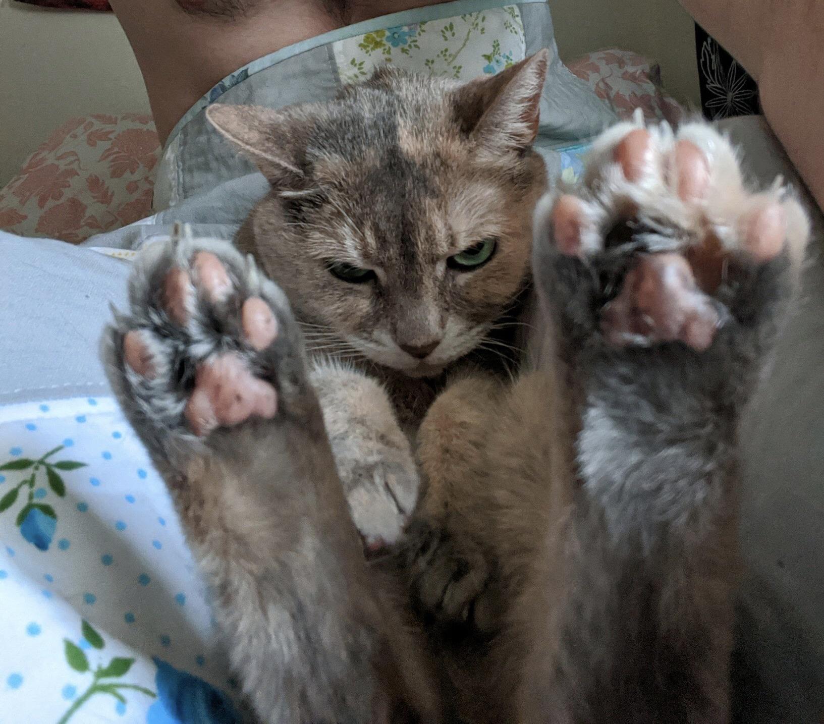 she’s angery | Scrolller