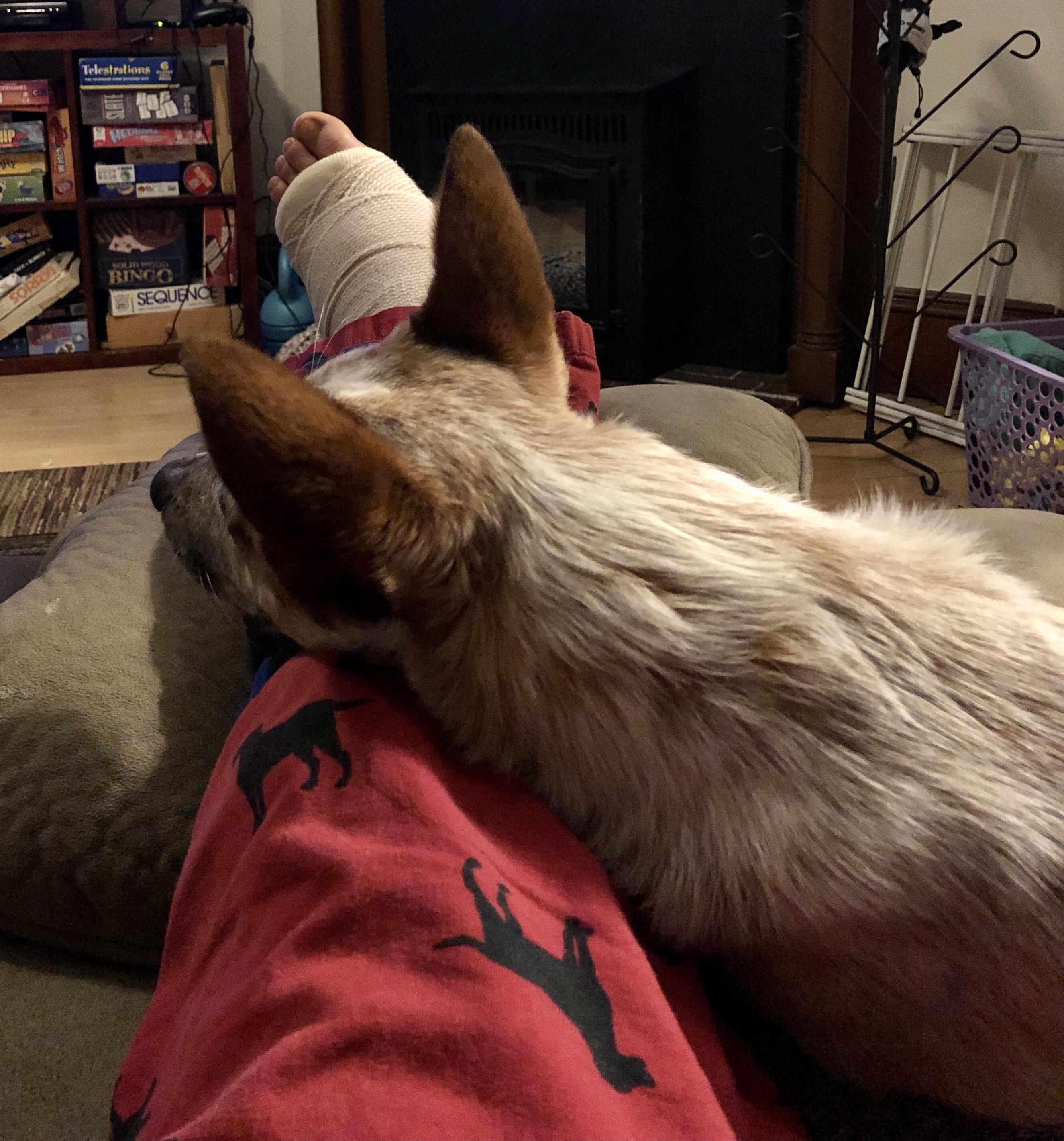 She’s helping me heal faster | Scrolller