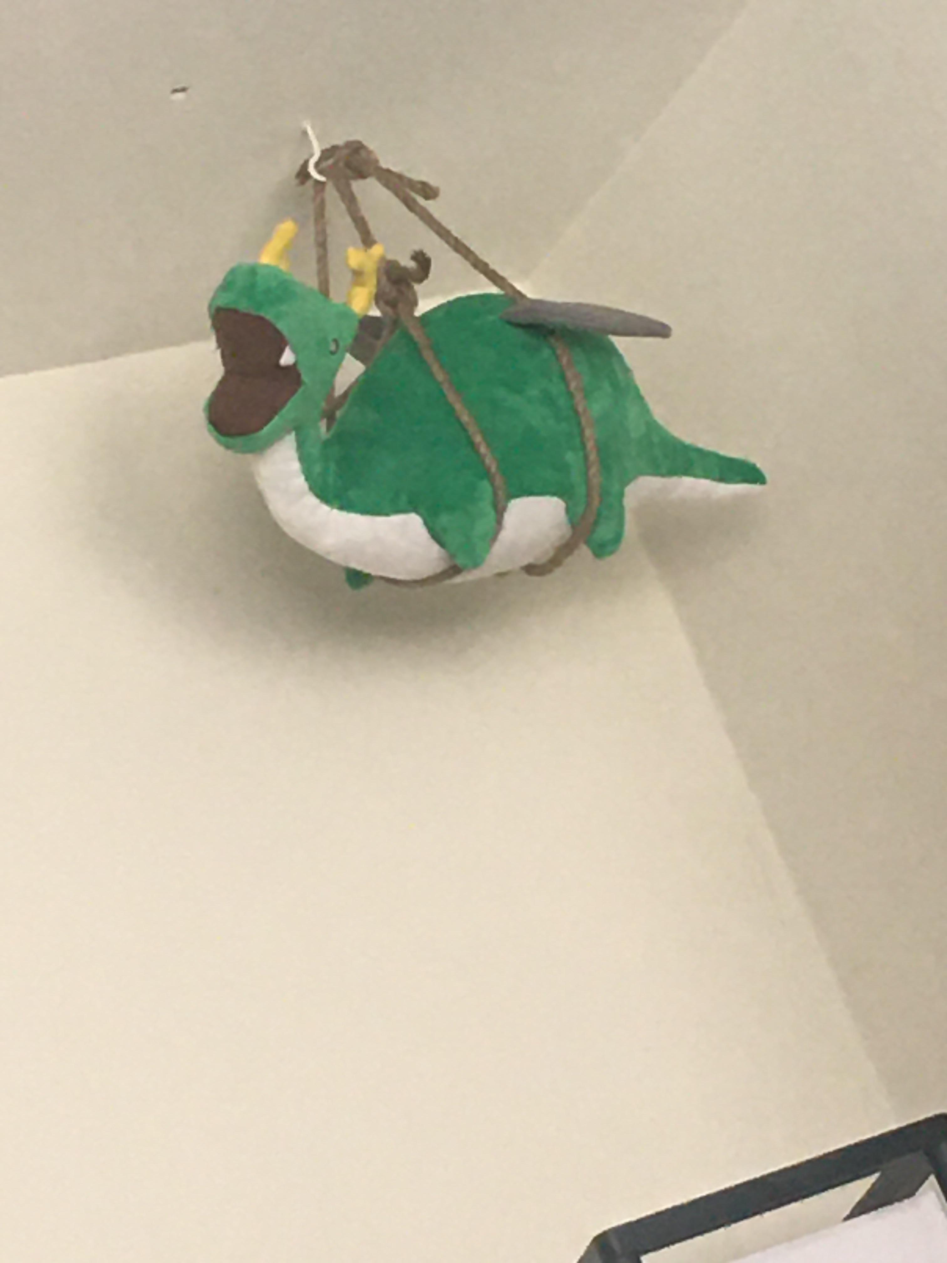 She’s learning to fly | Scrolller