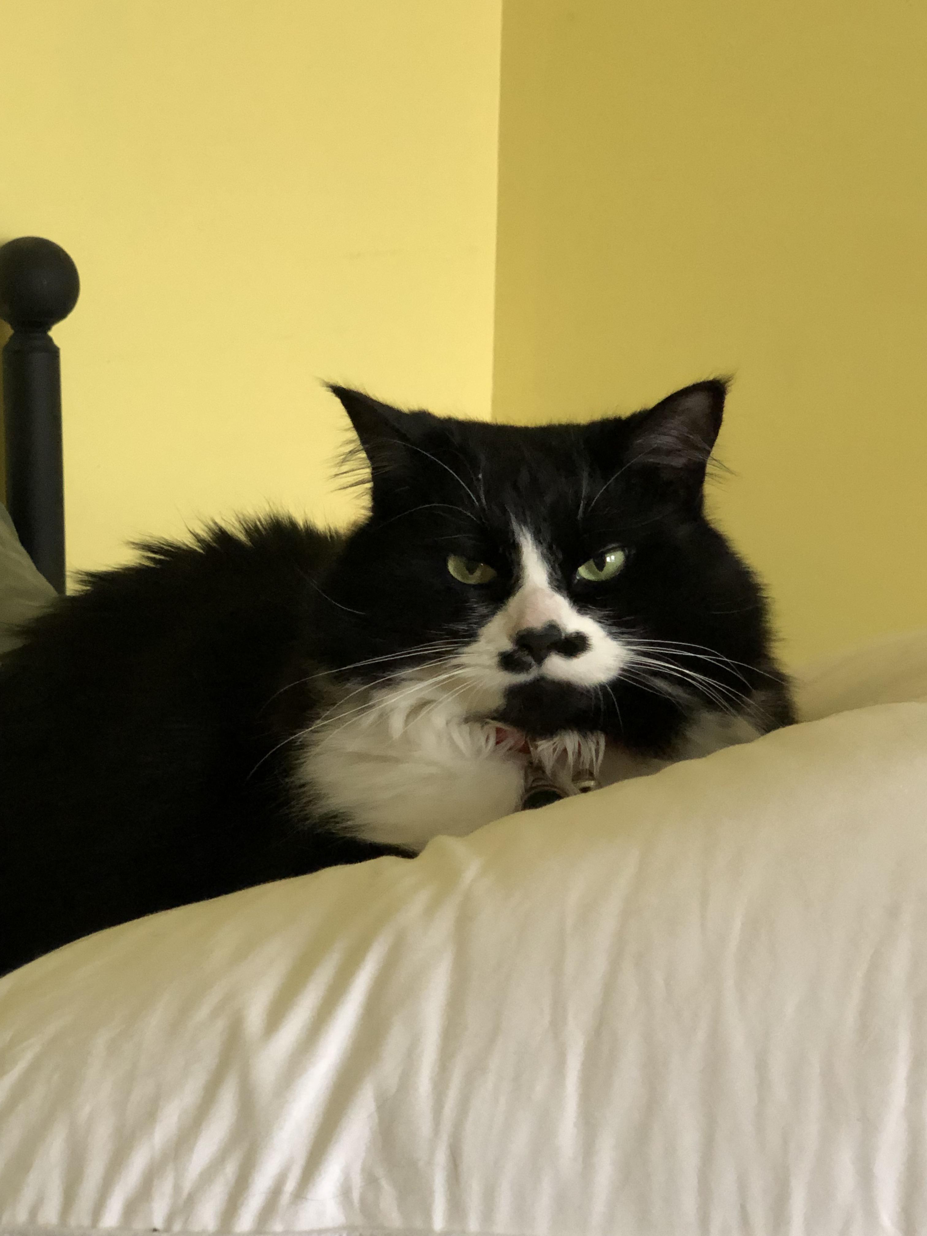 She’s plotting something 🤔 | Scrolller