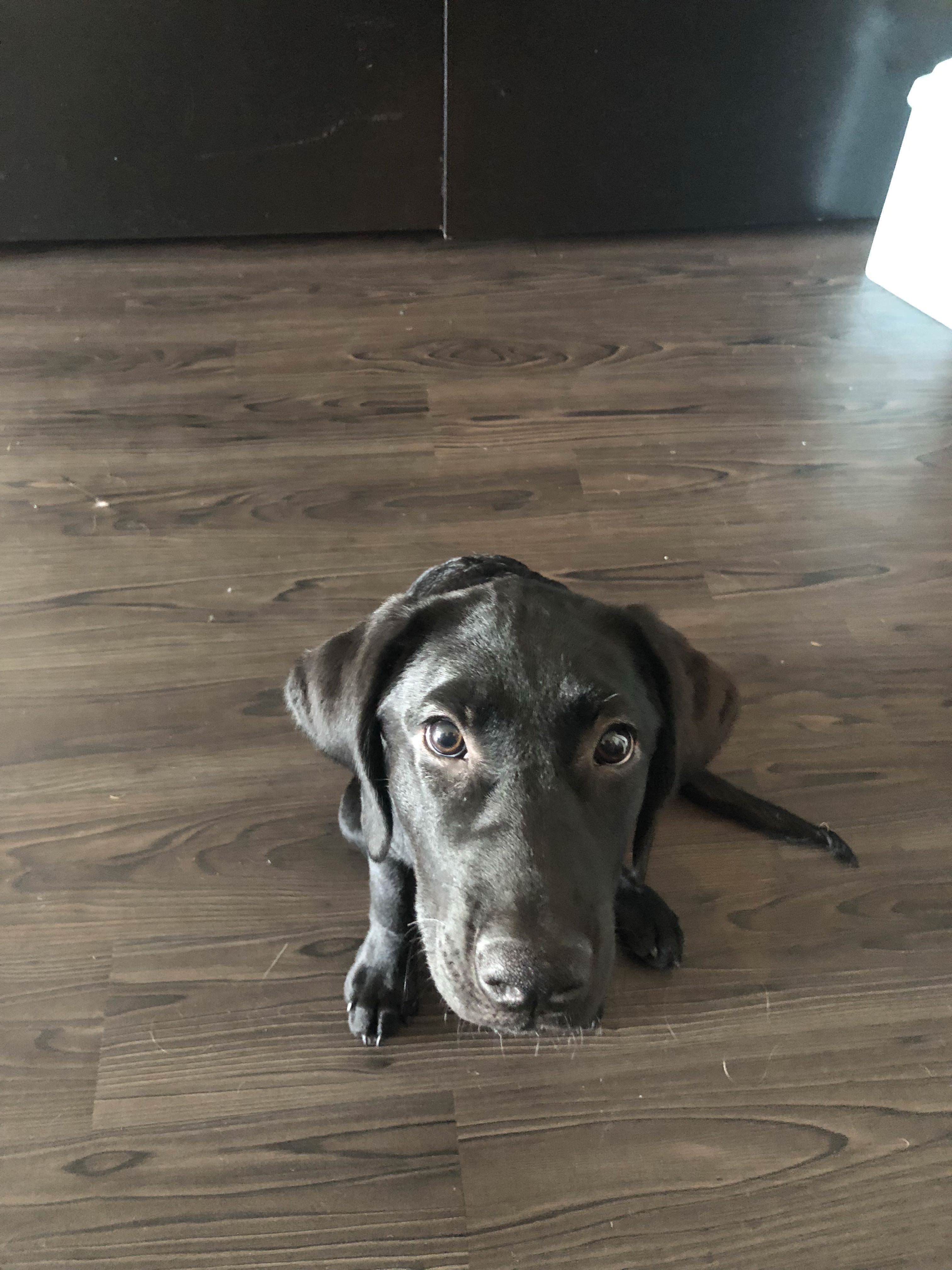 She’s so shiny it’s hard to get her in focus. | Scrolller