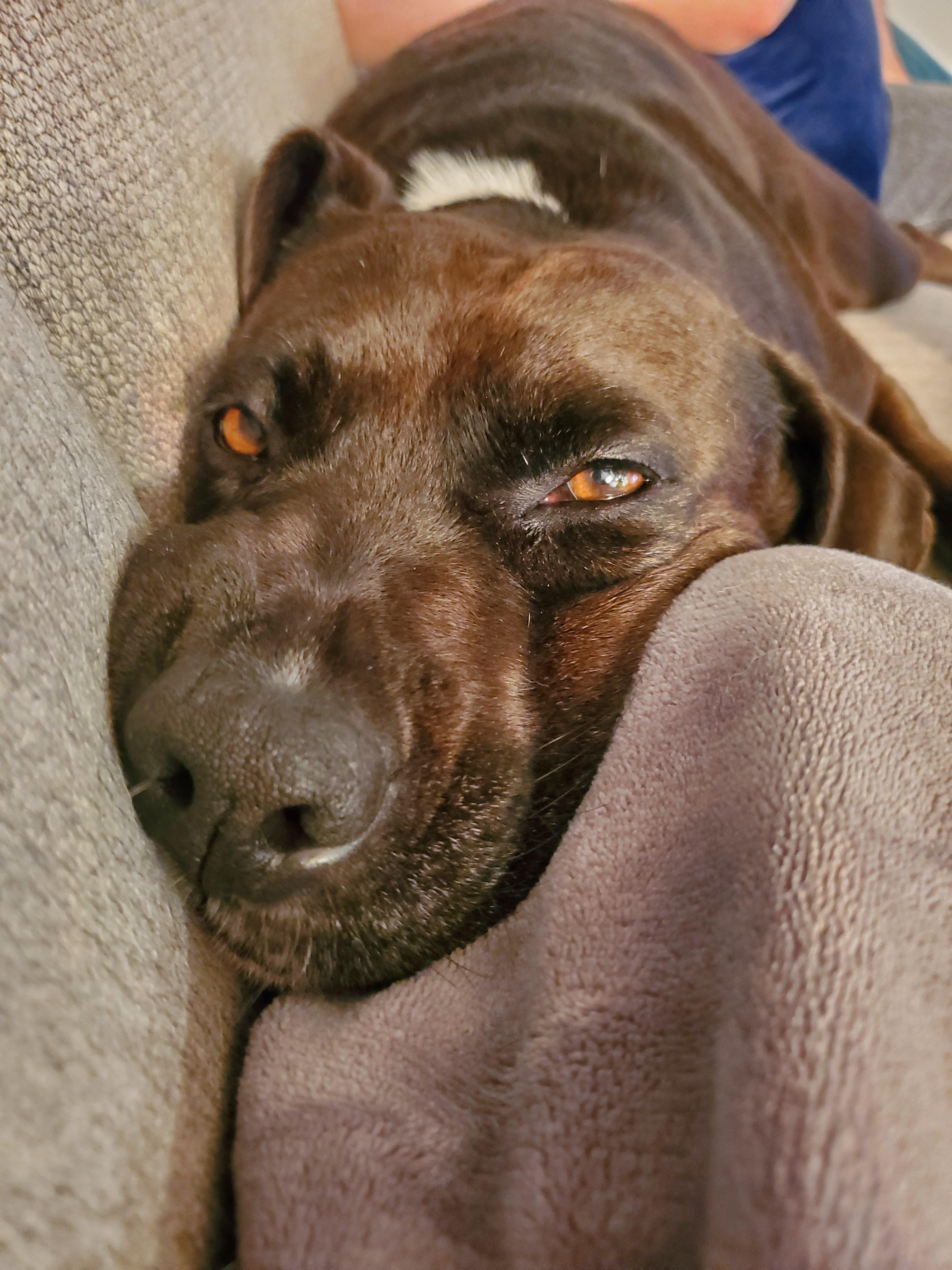 She seems to be comfy?? | Scrolller