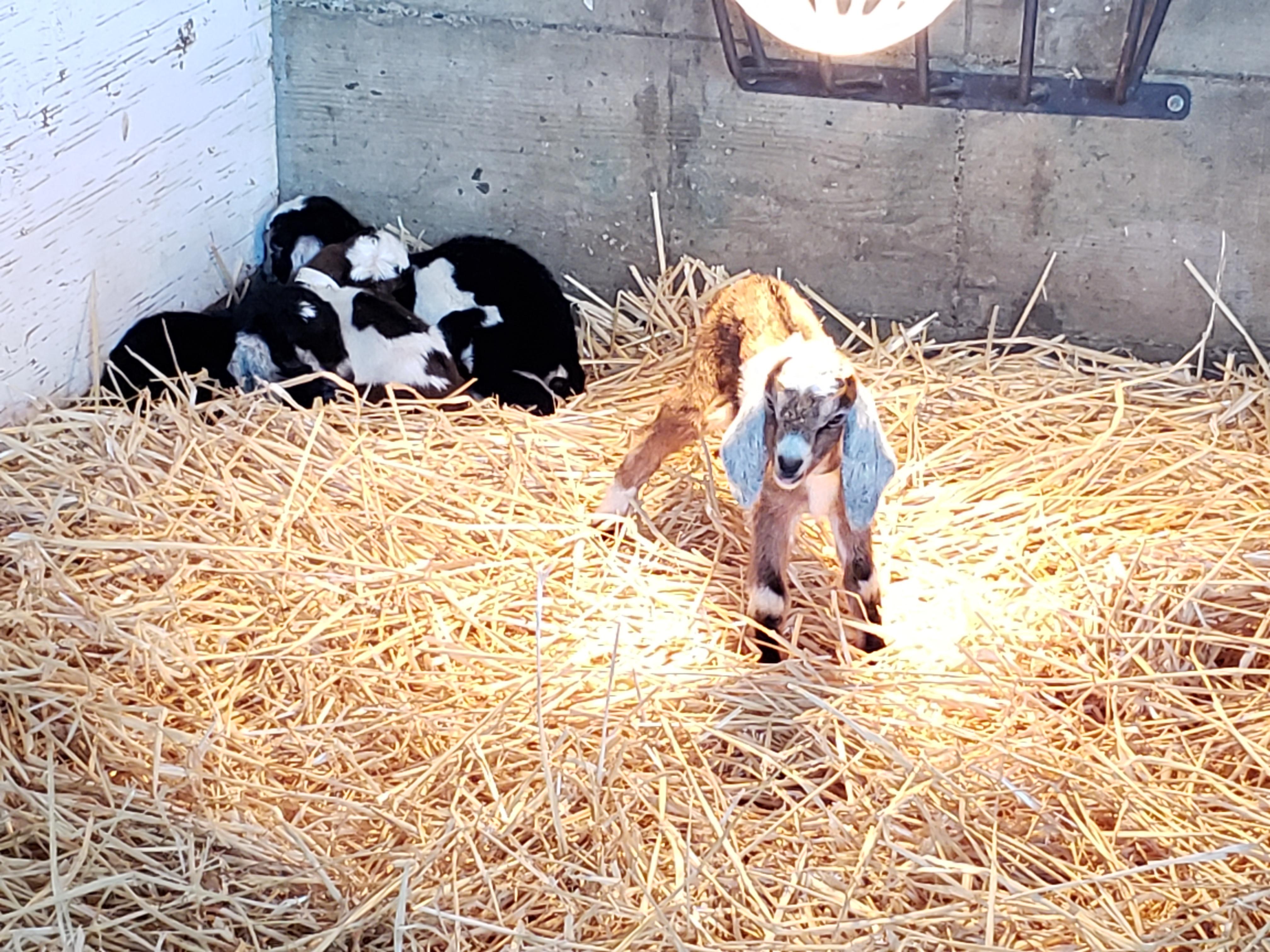 She stands under the light because she knows she's special | Scrolller