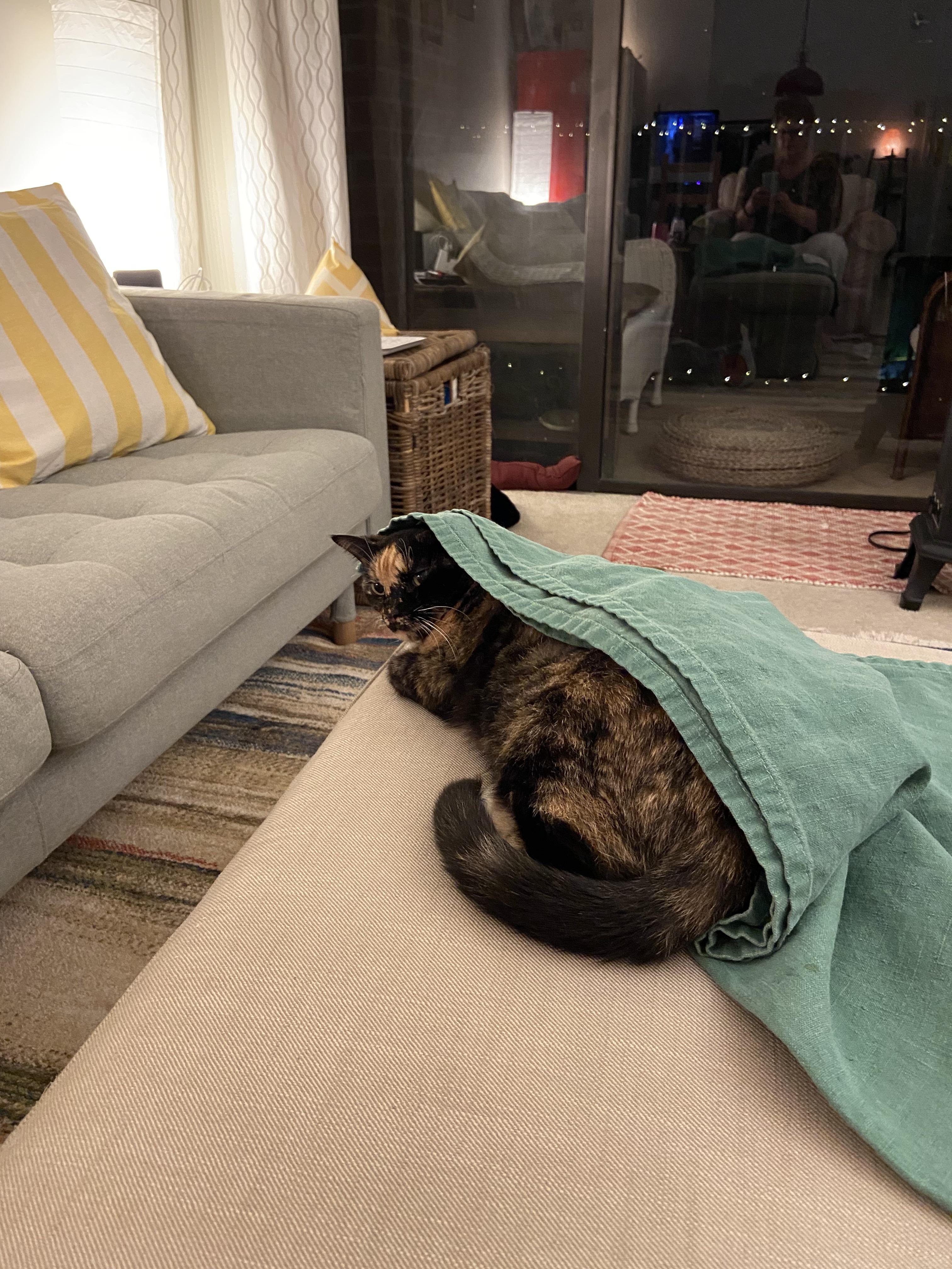She tried to tuck herself in. | Scrolller