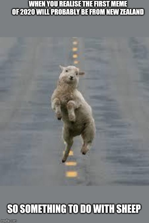 Sheep... | Scrolller