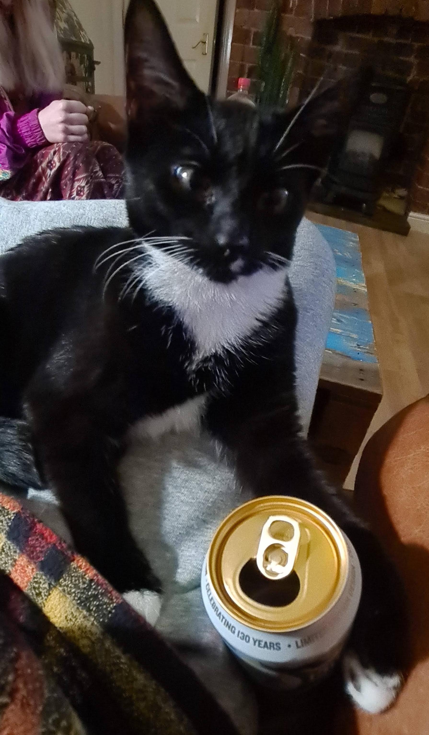 She's a derpy drunk | Scrolller