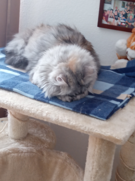 Shes Had A Busy Day Scrolller