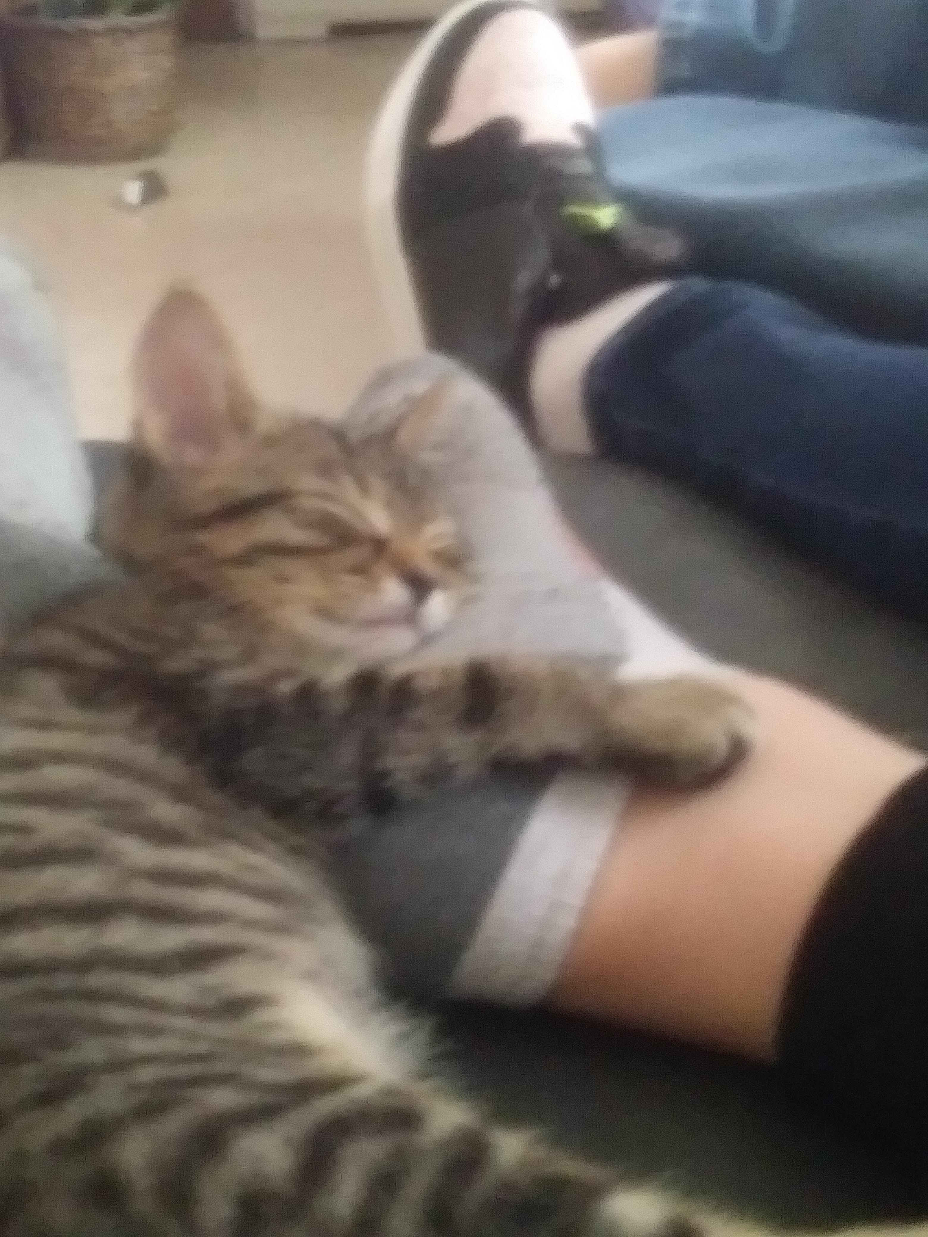 Shhh! Hes sleping | Scrolller