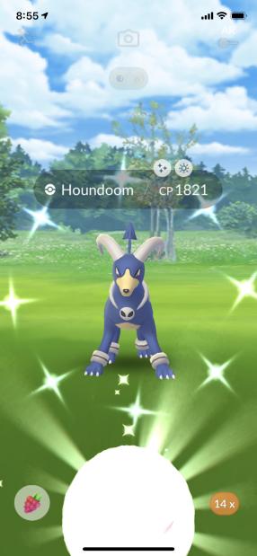 Shiny Houndoom from Mega Raid Verification | Scrolller