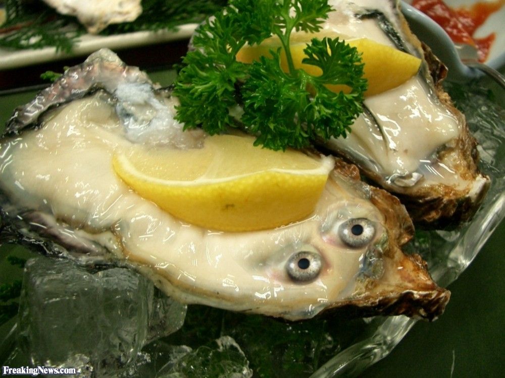 Shocked oyster is shocked | Scrolller