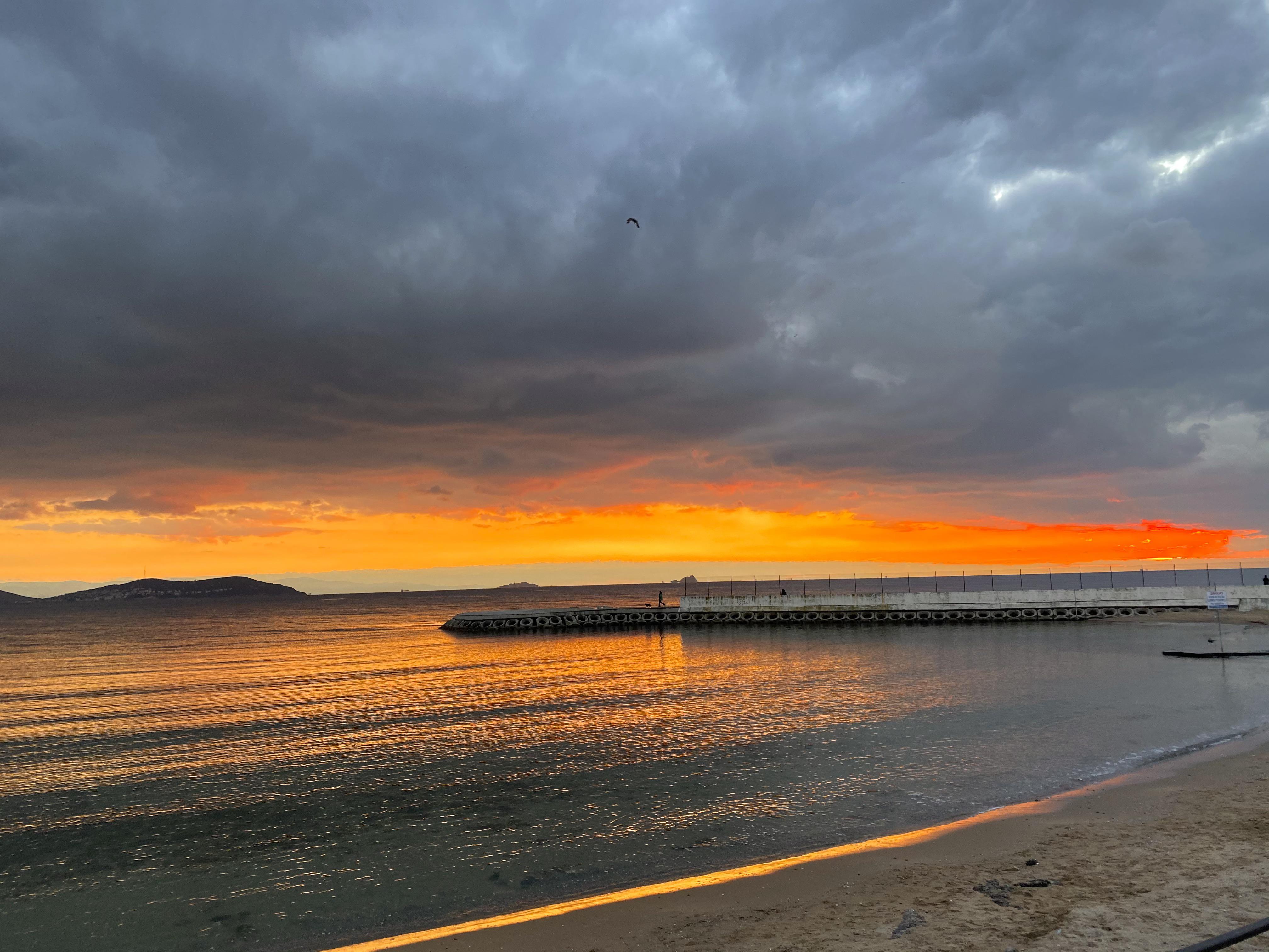 Shot on iPhone 11 | Scrolller