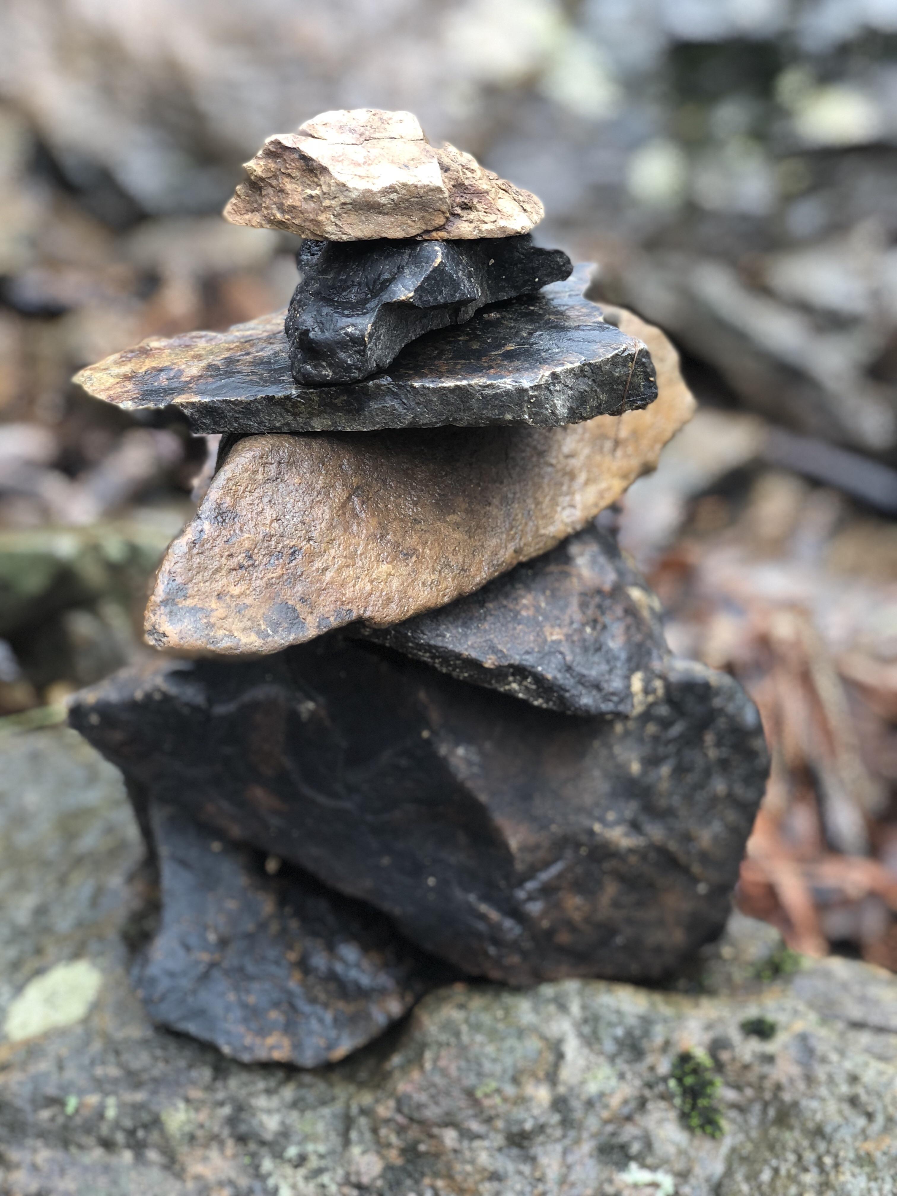 Shot on my iPhone X | Scrolller