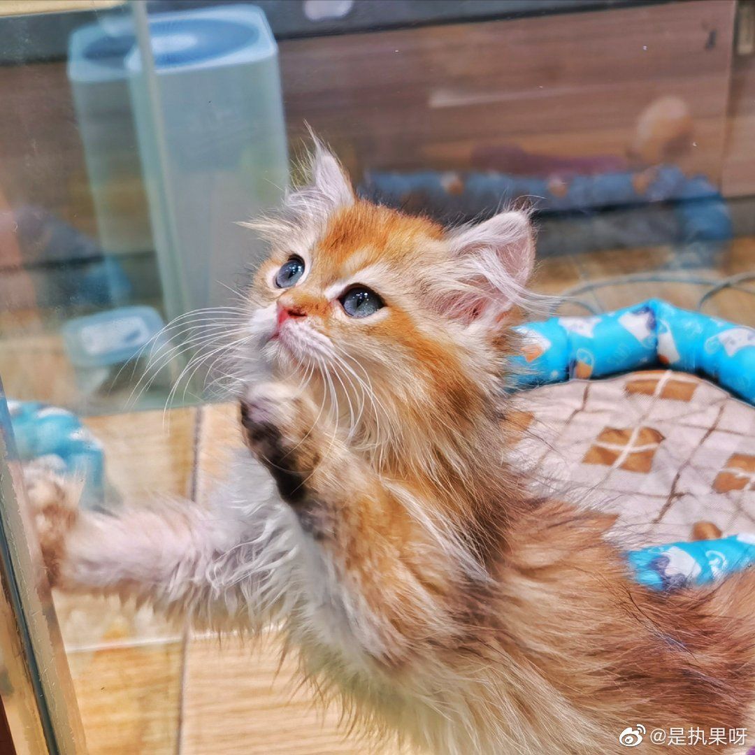 Shot on V30 Pro | Scrolller