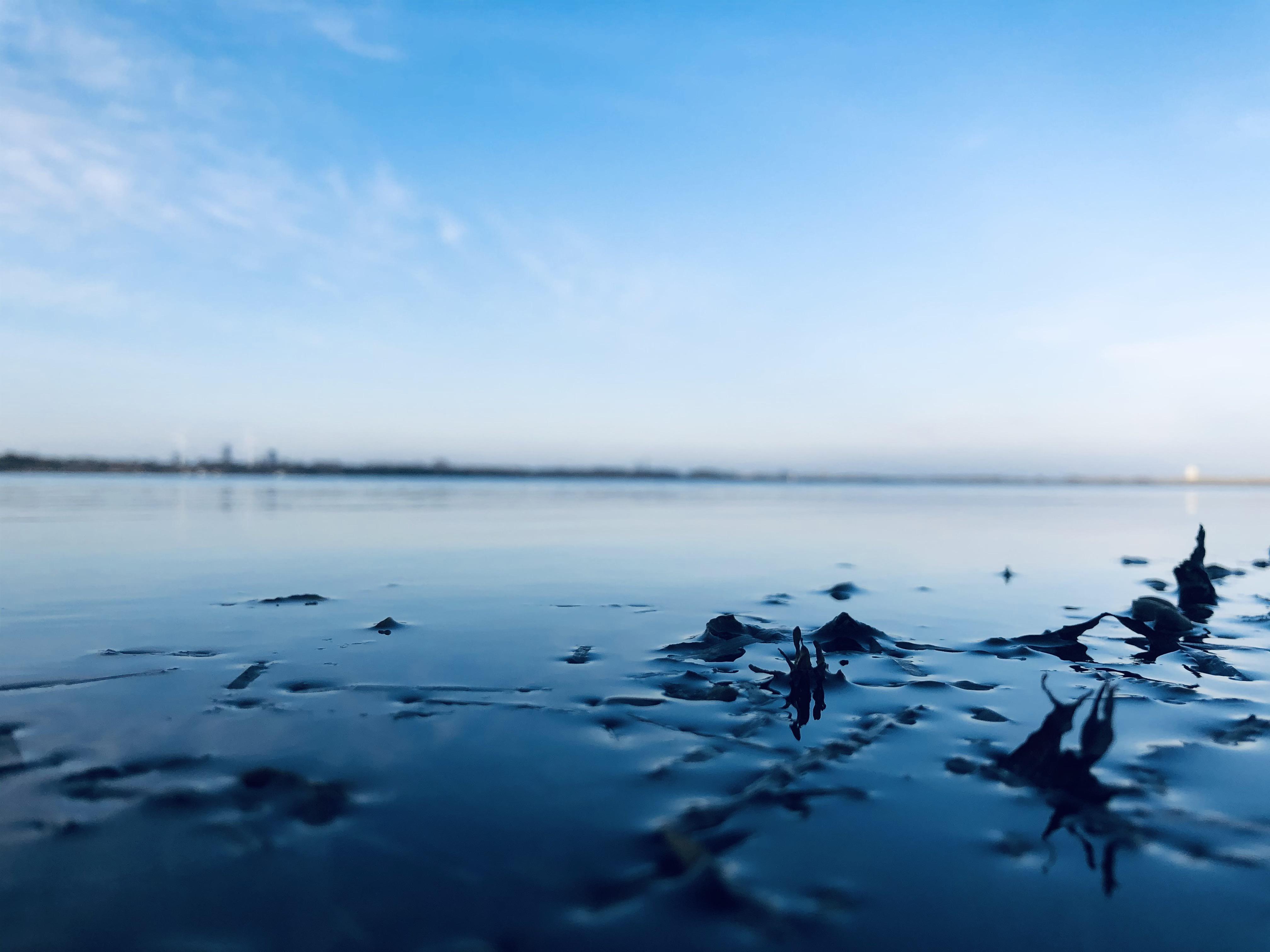 Shot with iPhone 8+ | Scrolller