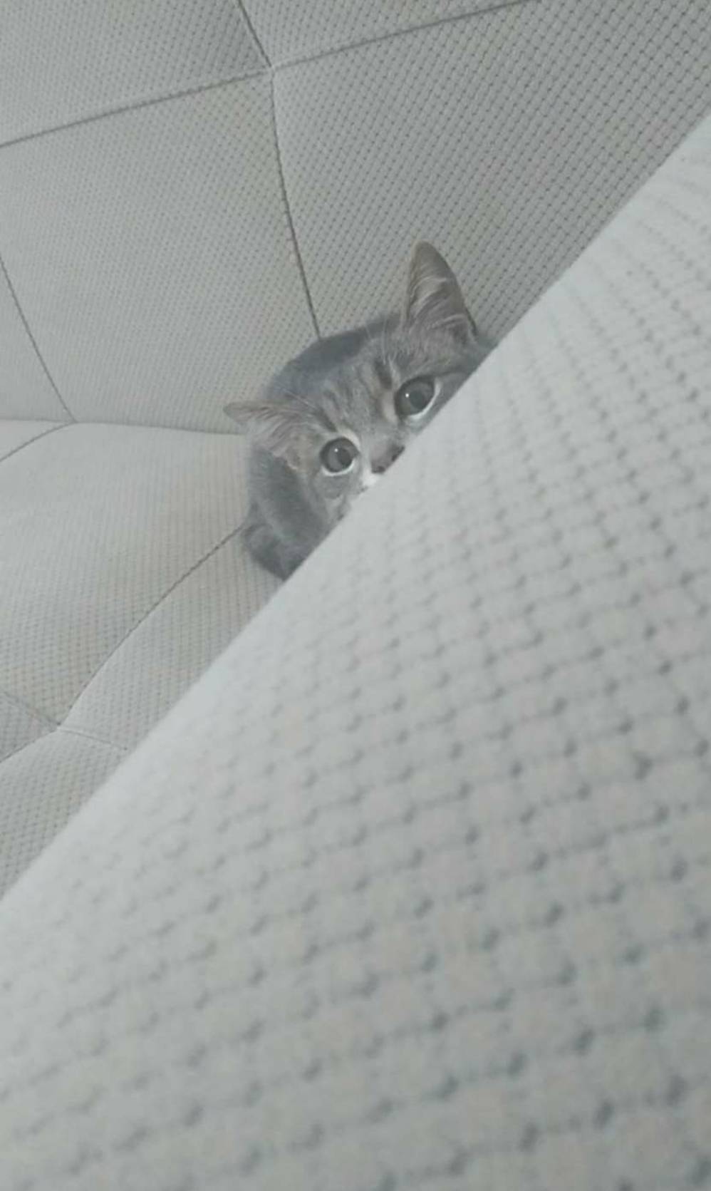 Should I be scared? | Scrolller