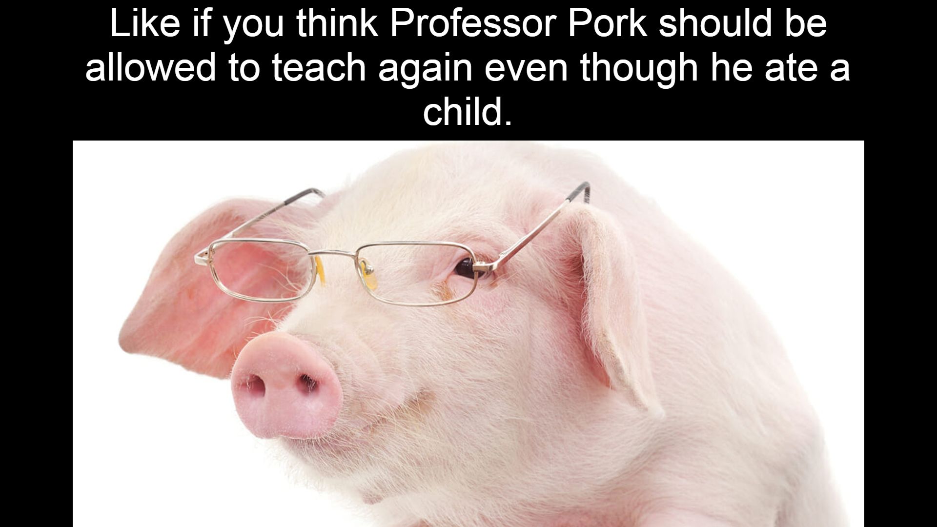 Show Your Support! | Scrolller