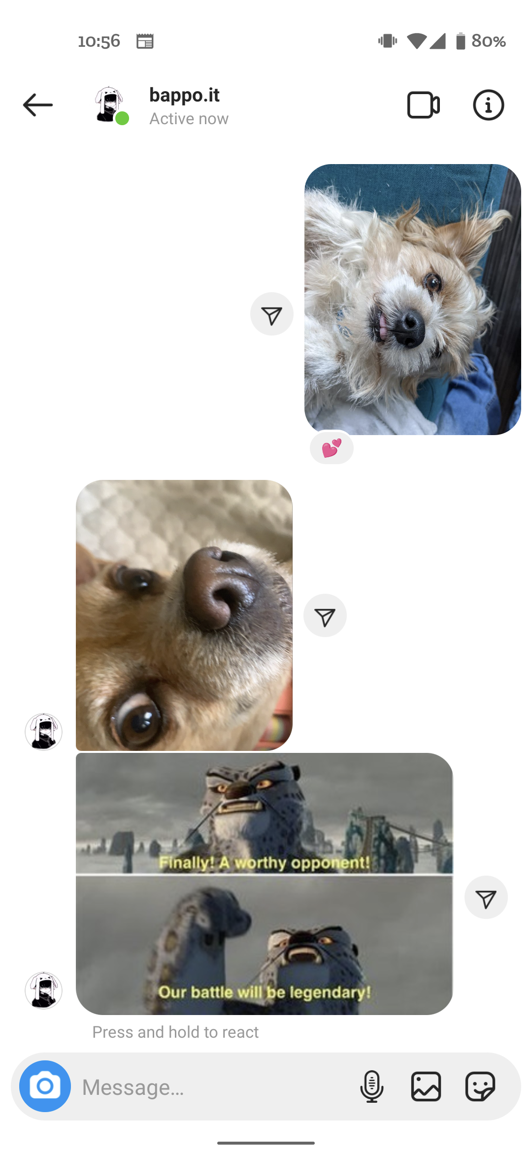 Showing my brother our new dog | Scrolller