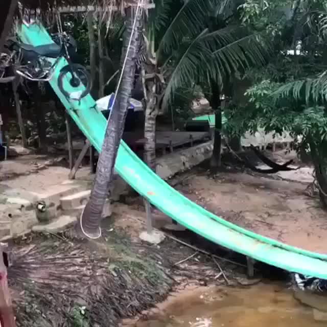 Shrimp slide | Scrolller