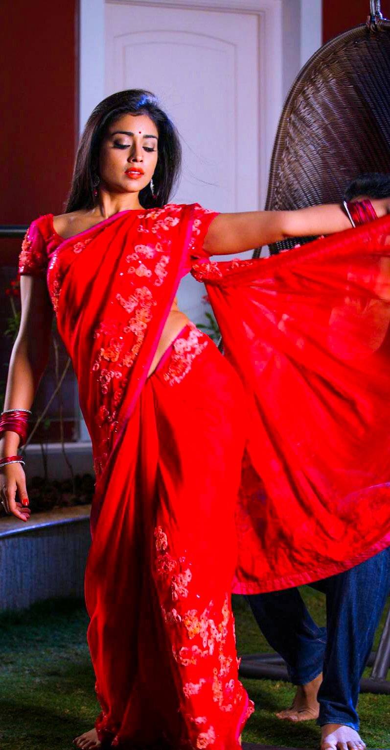 Shriya Saran In Red Saree Scrolller