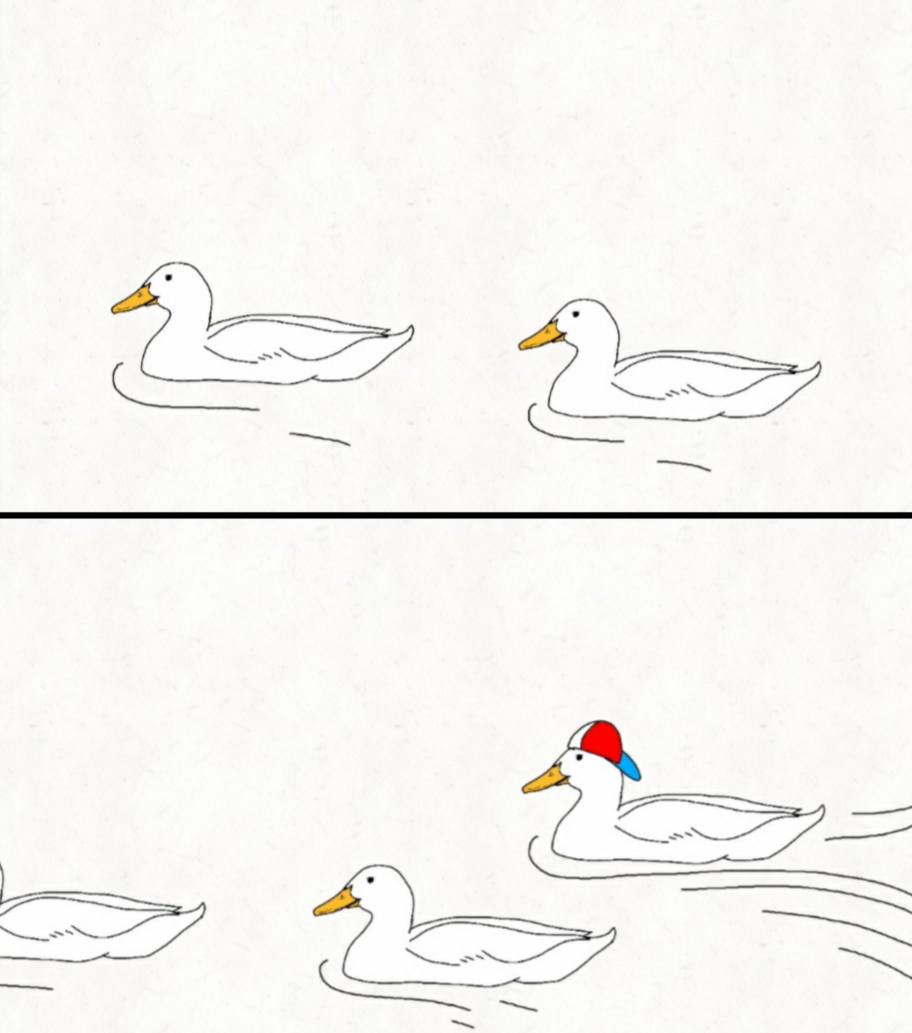 Shuba template for you guys | Scrolller