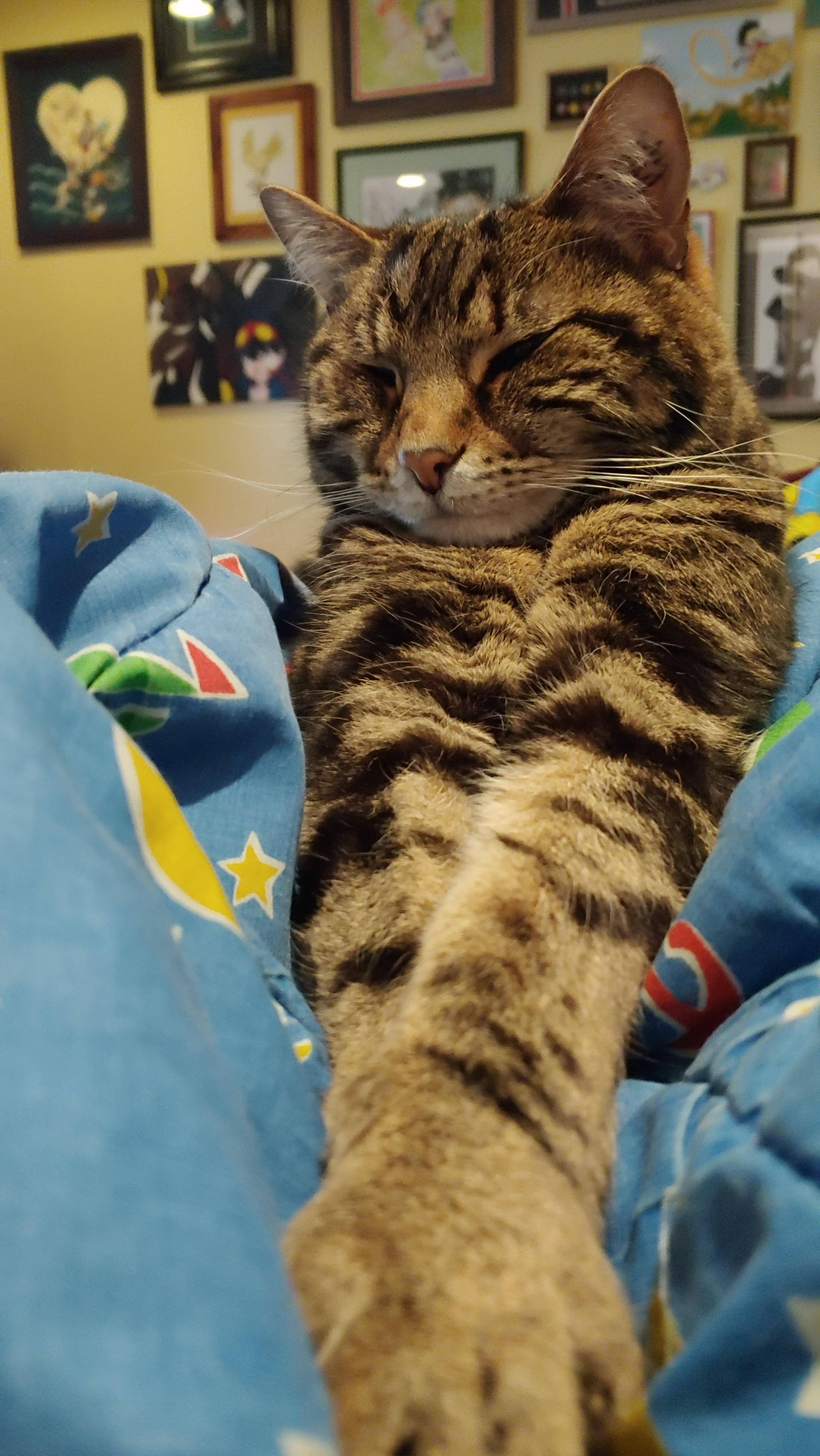 SI Boy When He Gets Comfy | Scrolller