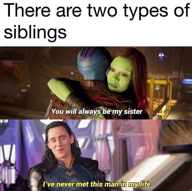 Siblings in a nutshell | Scrolller