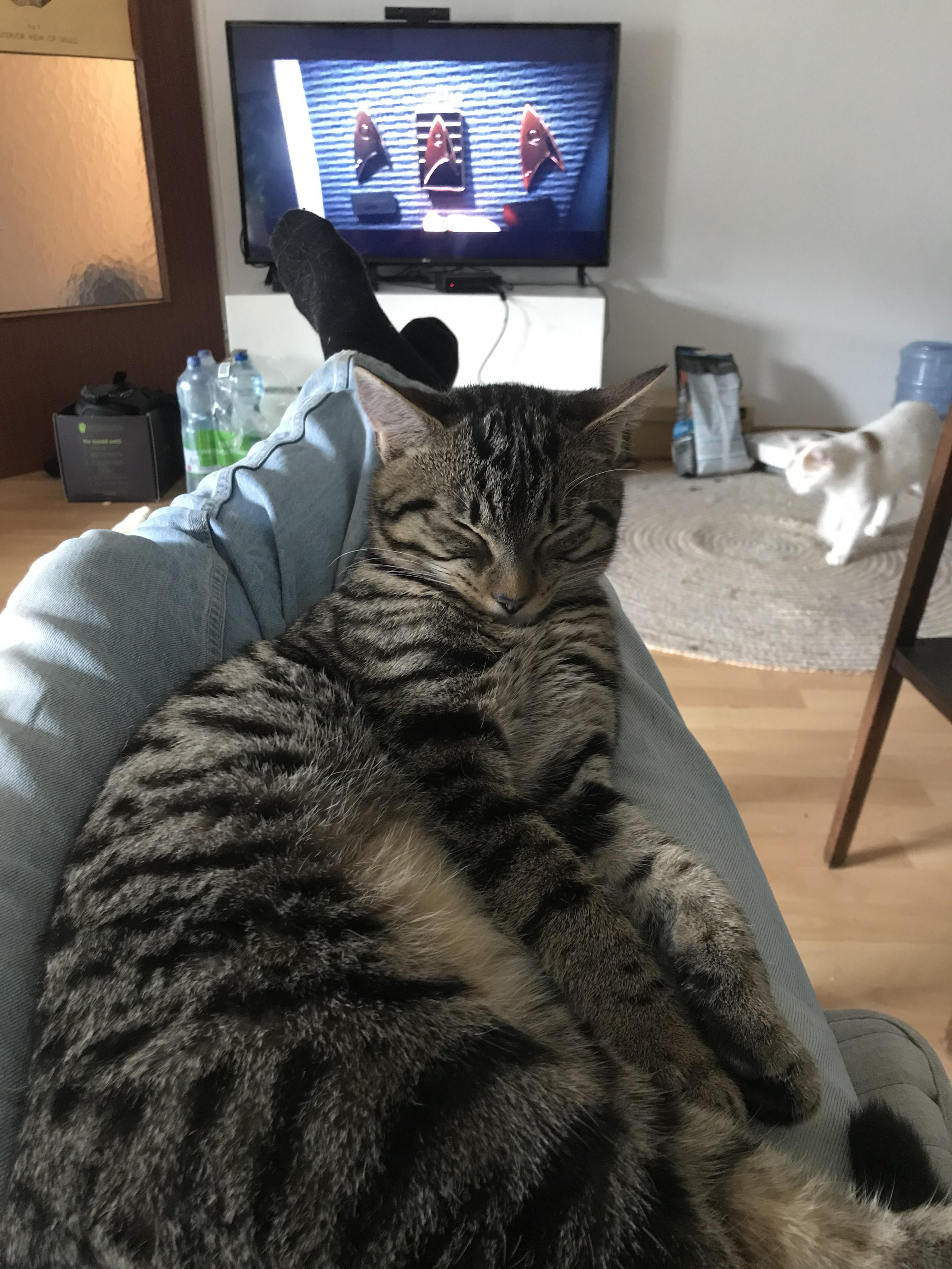 SIC with non-standard sleeping positions | Scrolller