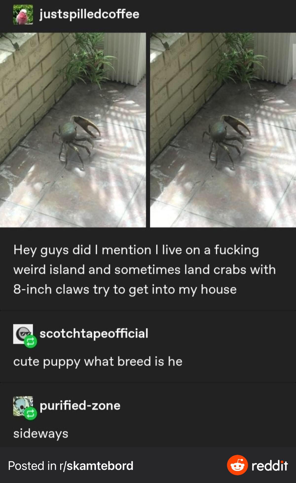 Sideways | Scrolller