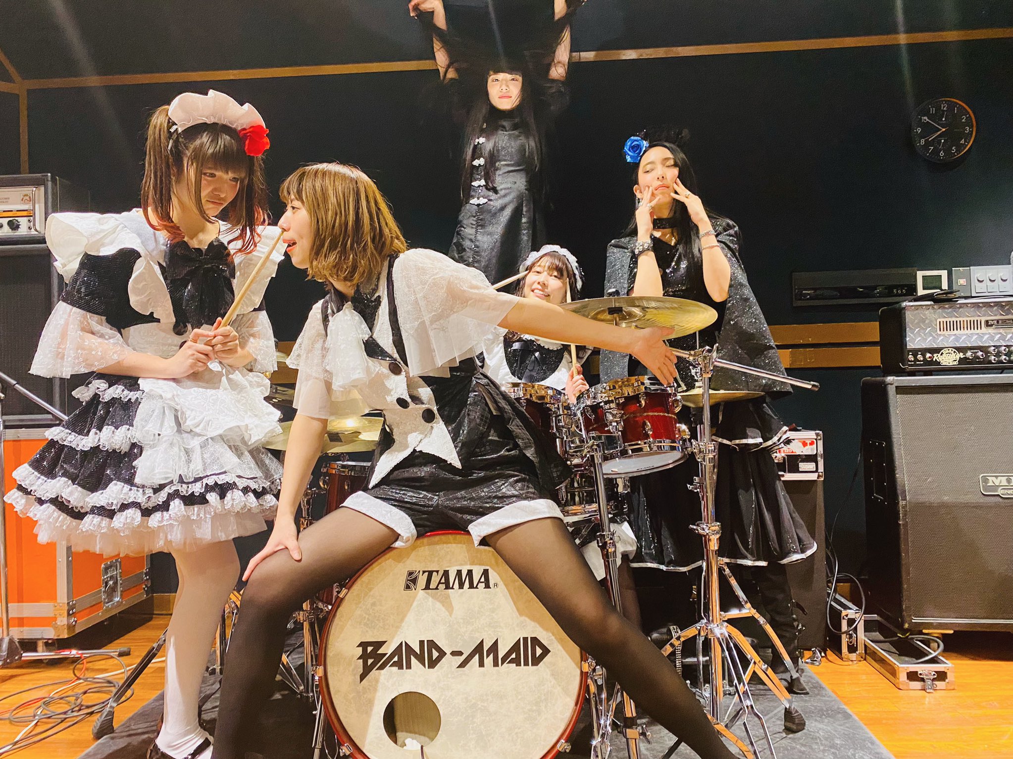 Silly Birds | Scrolller