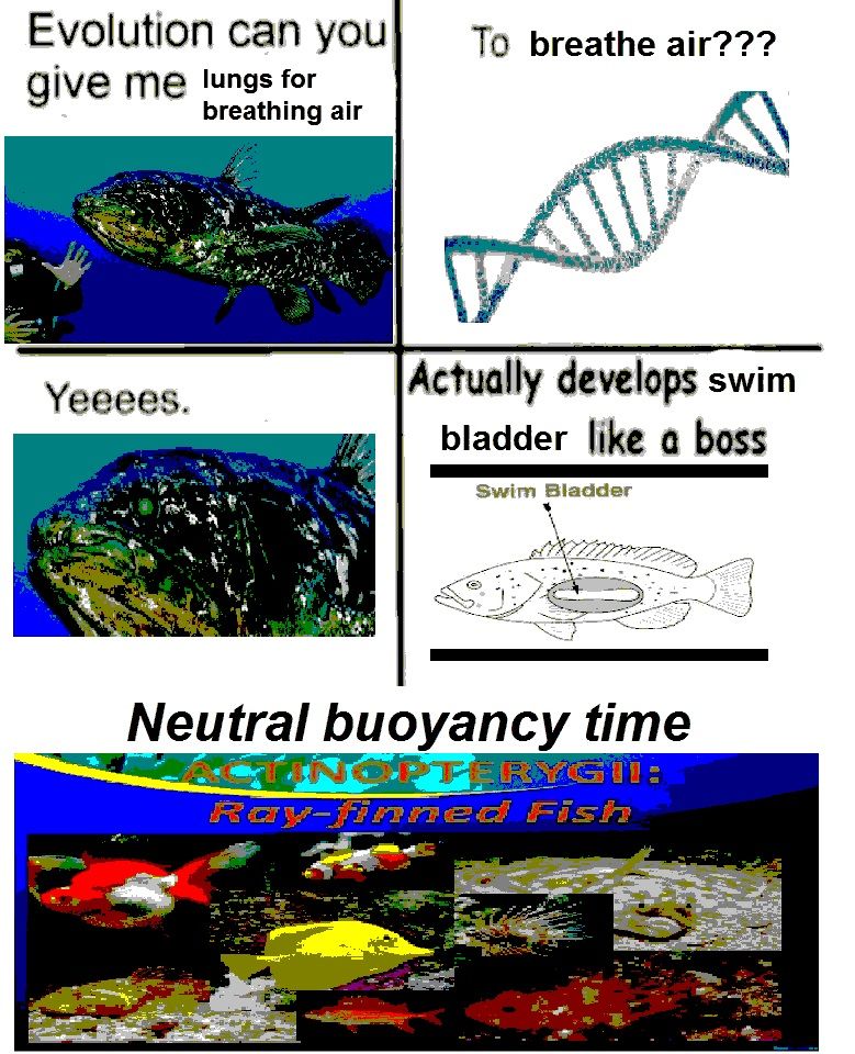 Since I saw this format isn't dead yet | Scrolller