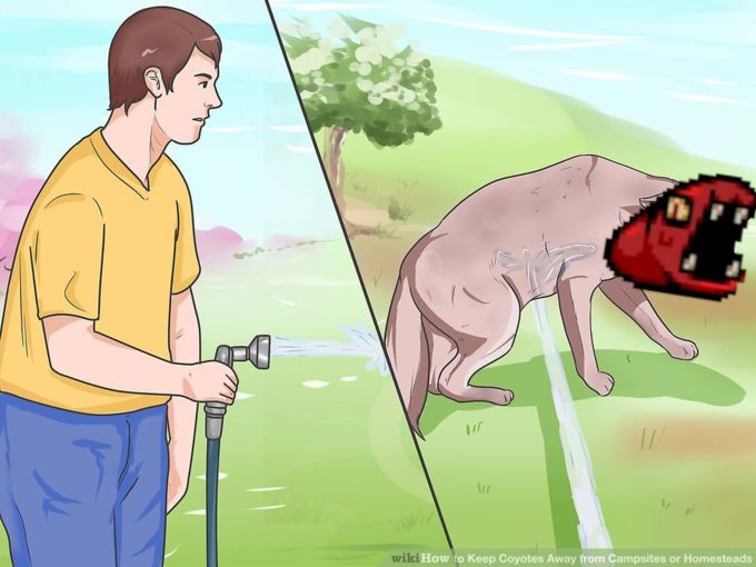 Sinvicta every time Blood Puppy goes rage mode | Scrolller