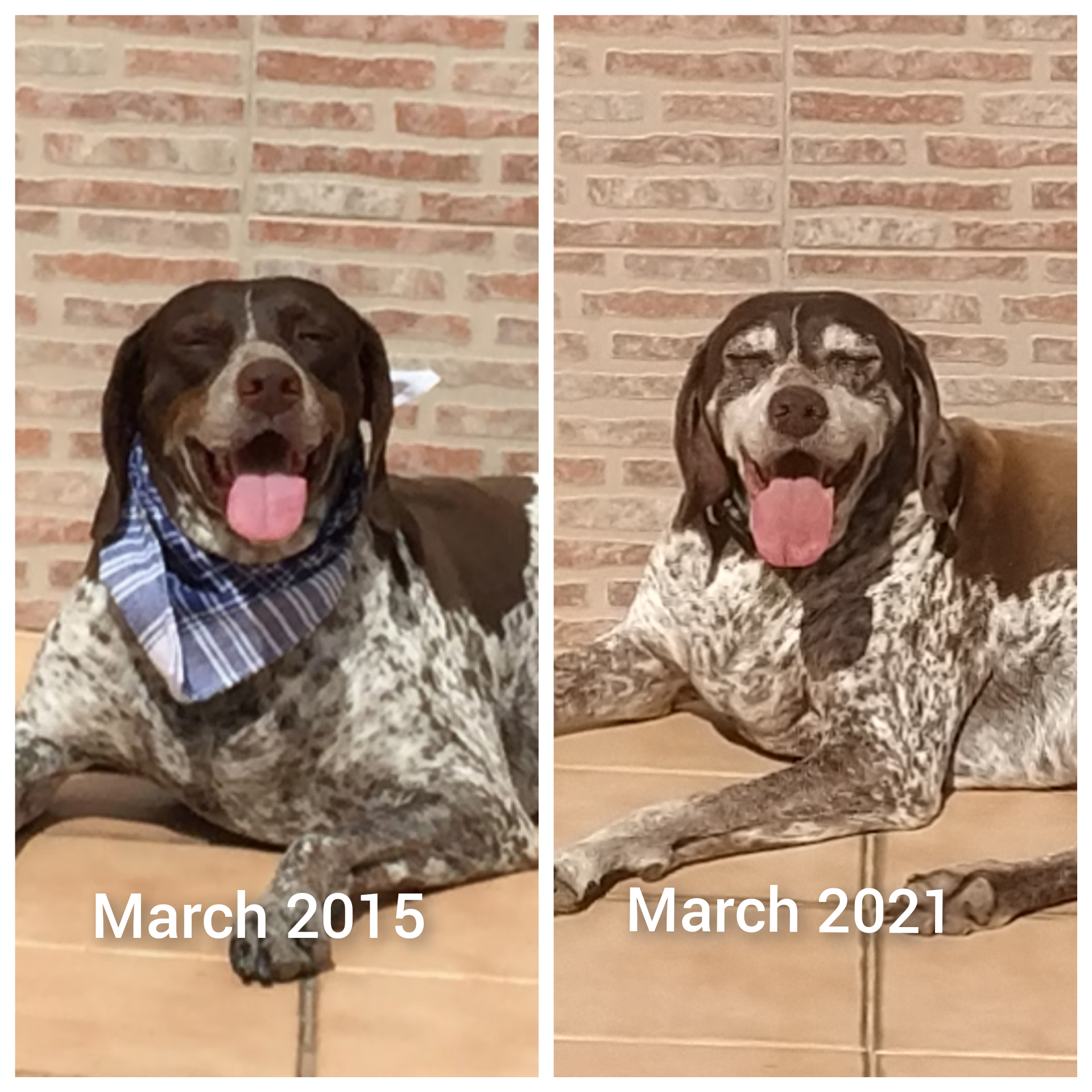 Six Years Later And The Same Smile Scrolller
