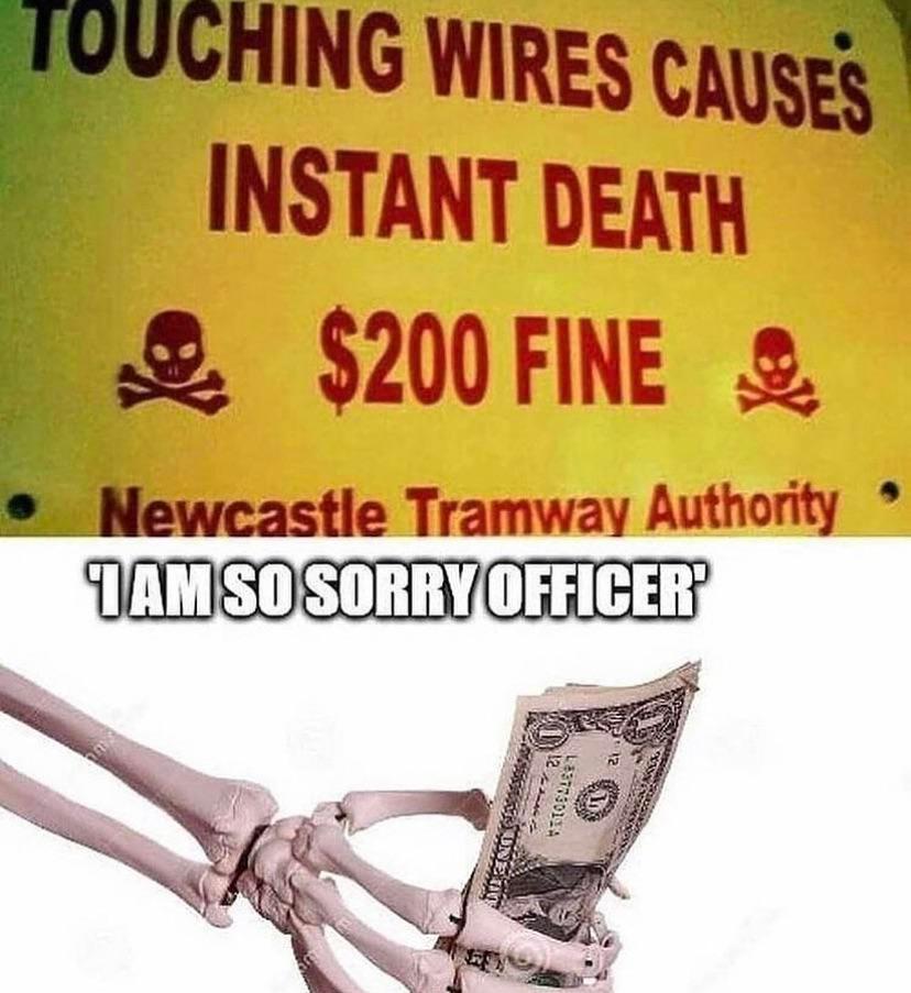 Skeleton funni | Scrolller