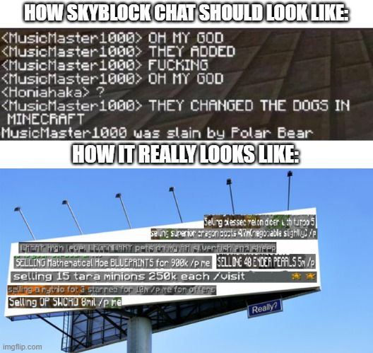 Skyblock chat in a nutshell | Scrolller