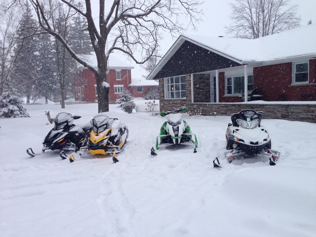 Sled pic from this season | Scrolller