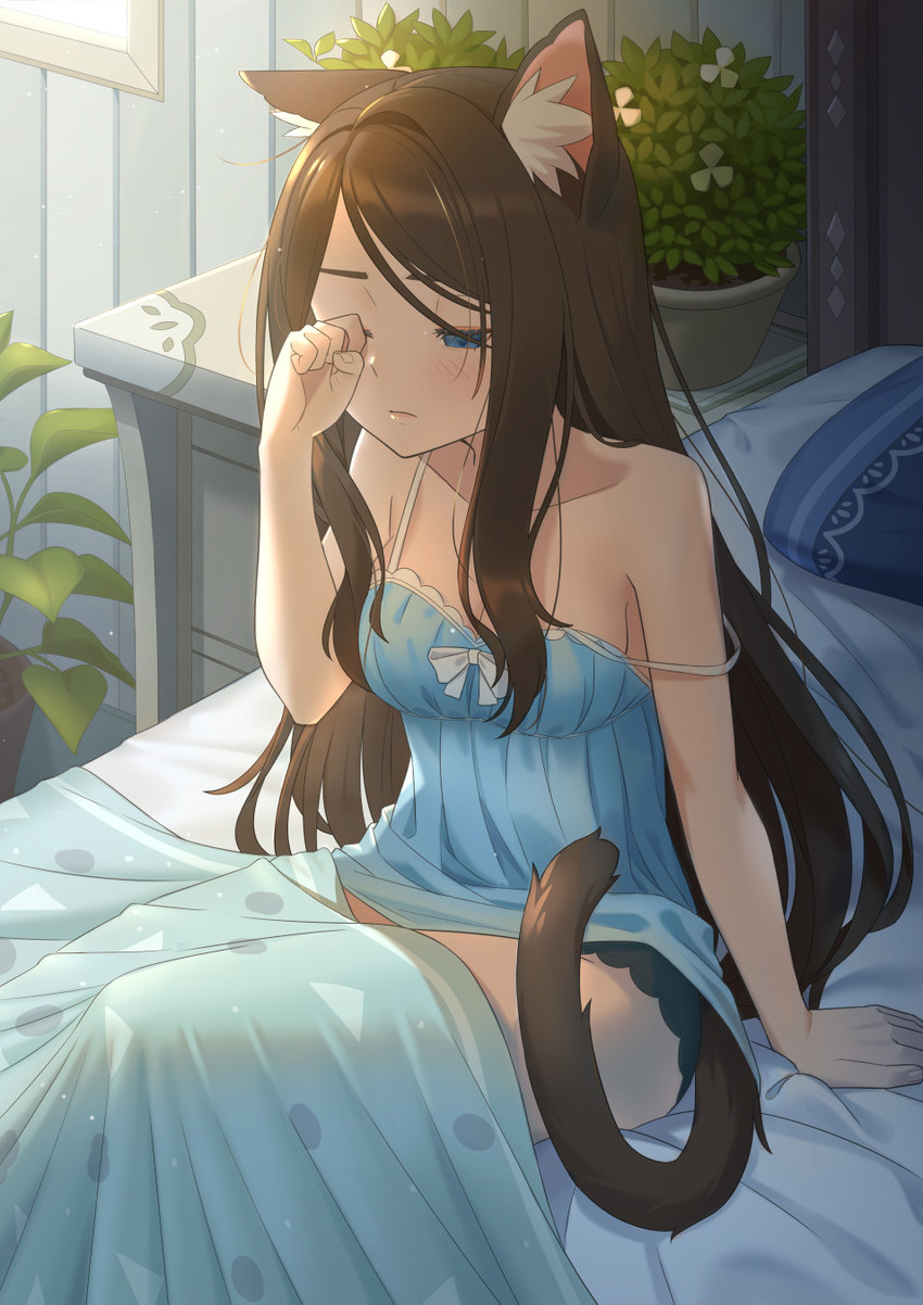 Sleep catgirl Aina by mao lian | Scrolller