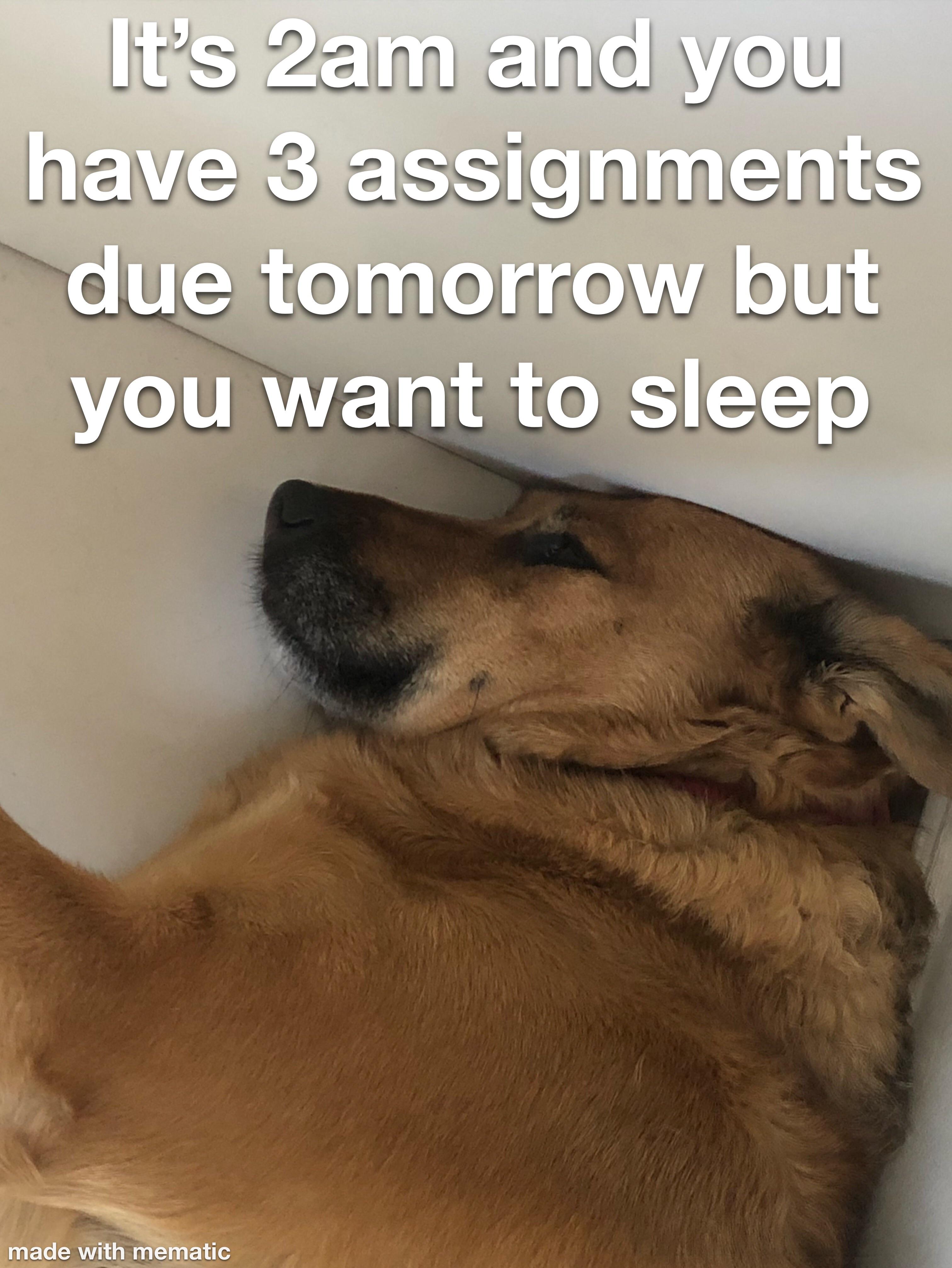 Sleep I must | Scrolller