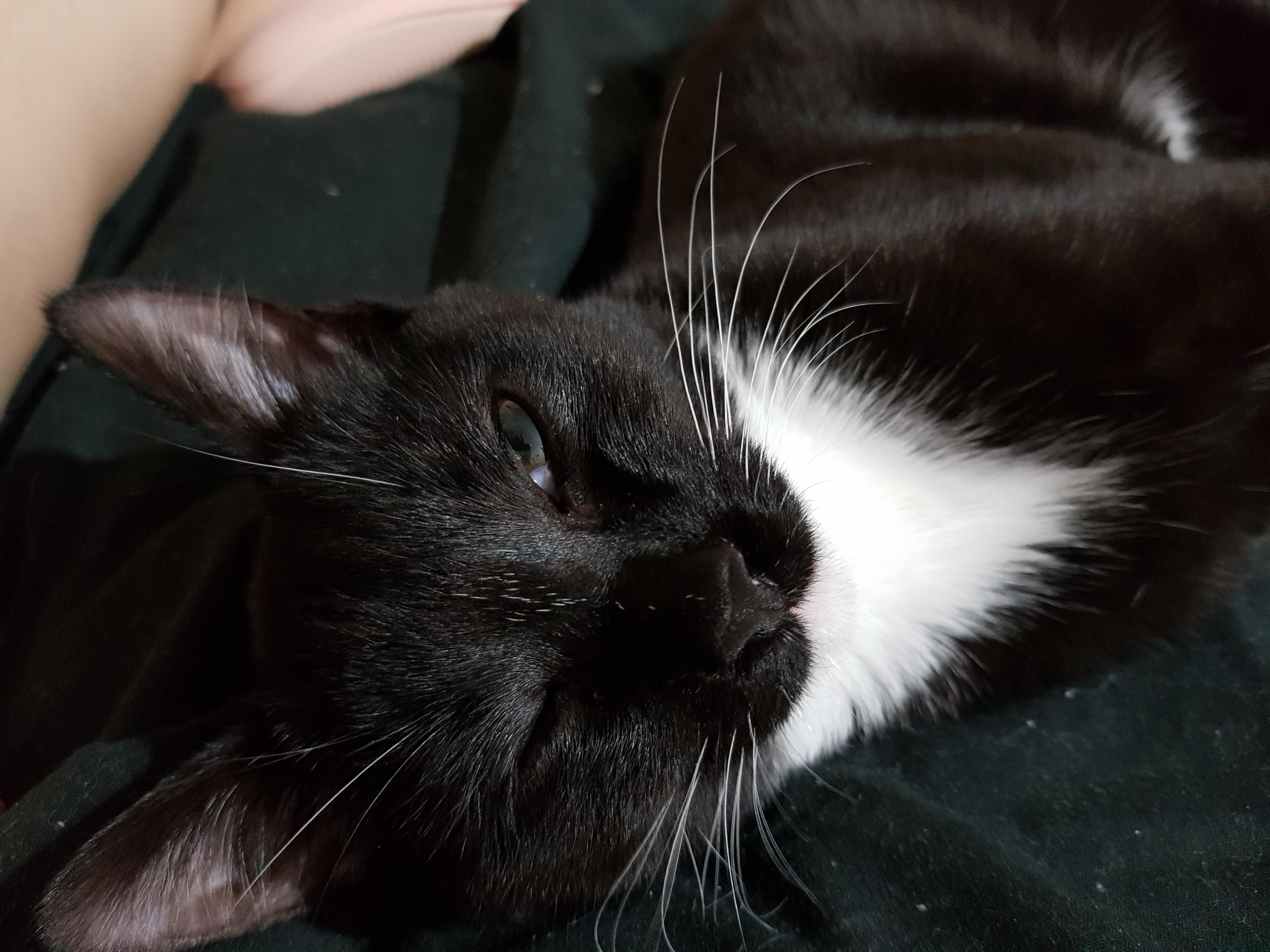 Sleep with one eye open 👀 | Scrolller