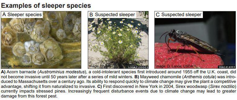 Sleeper Species | Scrolller