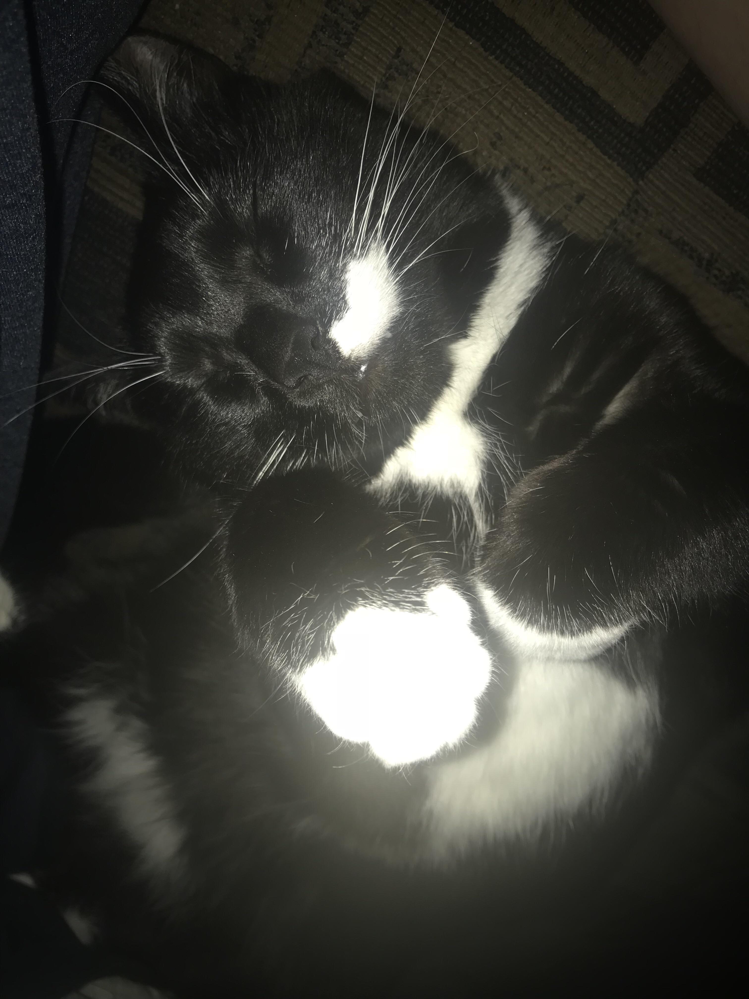 Sleeping feetsies. | Scrolller