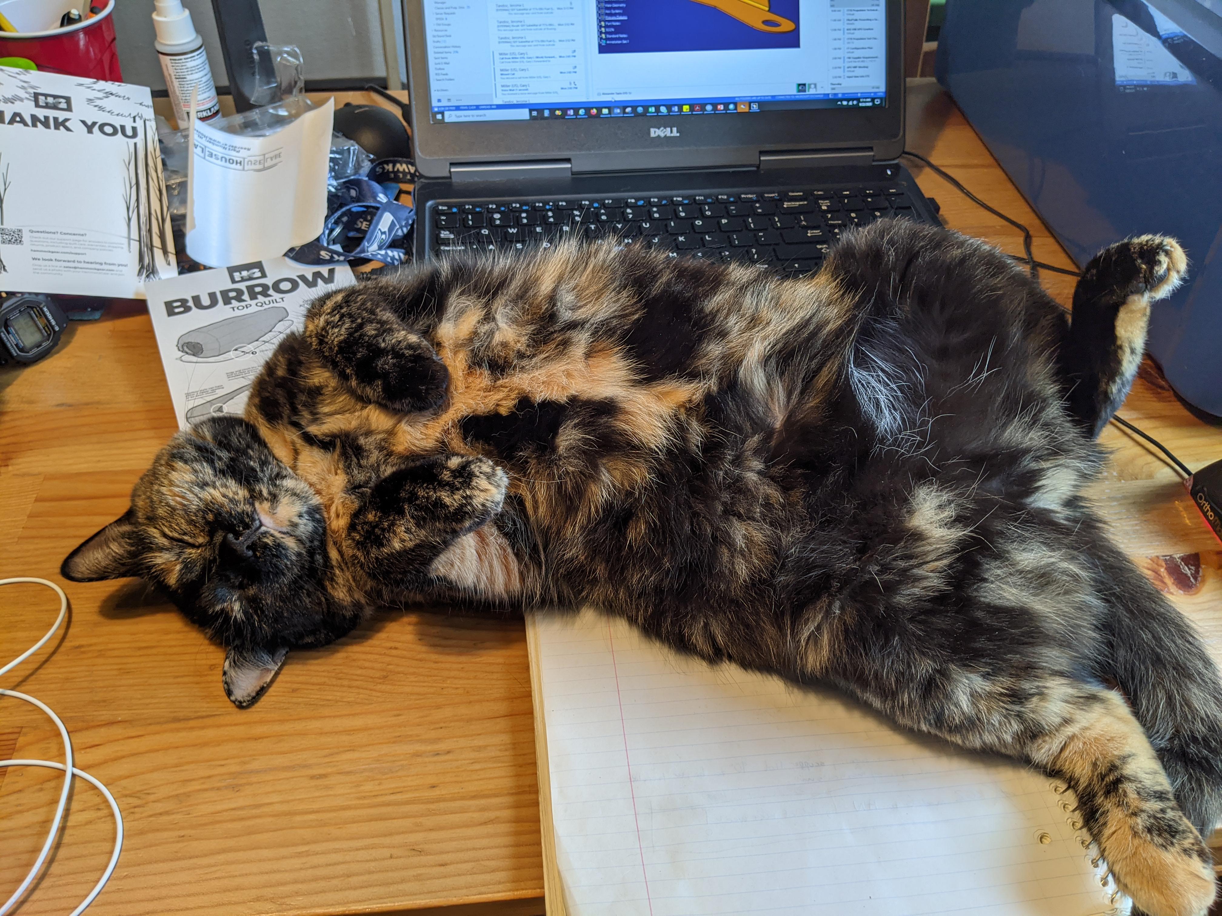 Sleeping on the Job! | Scrolller