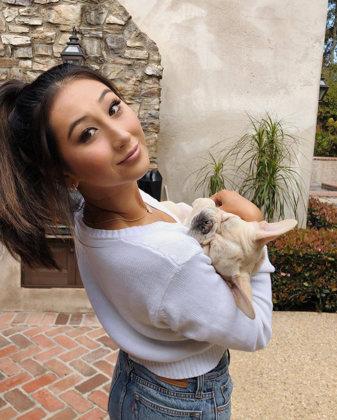 Sleeping Pup | Scrolller