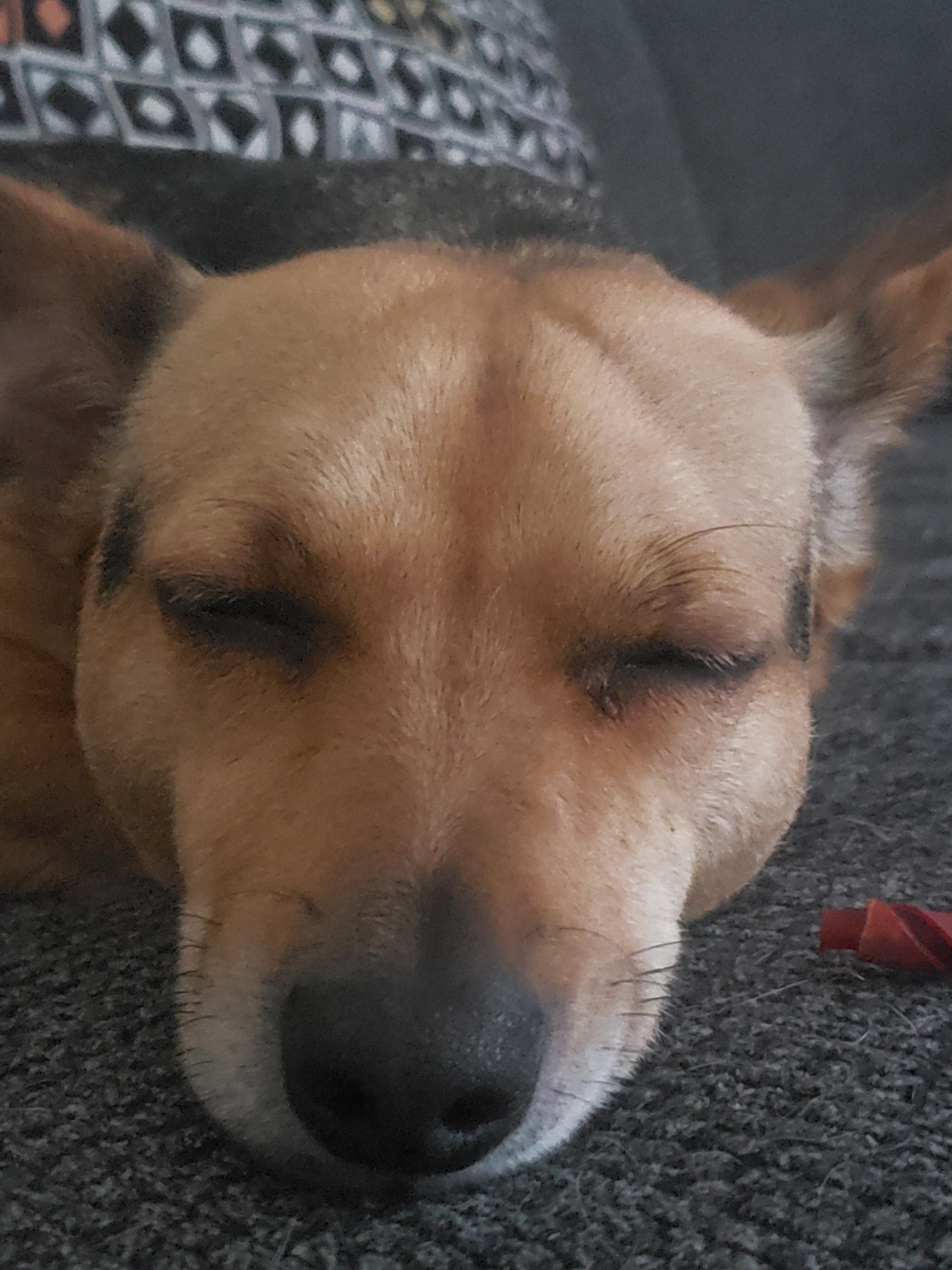 Sleeping through the storm | Scrolller