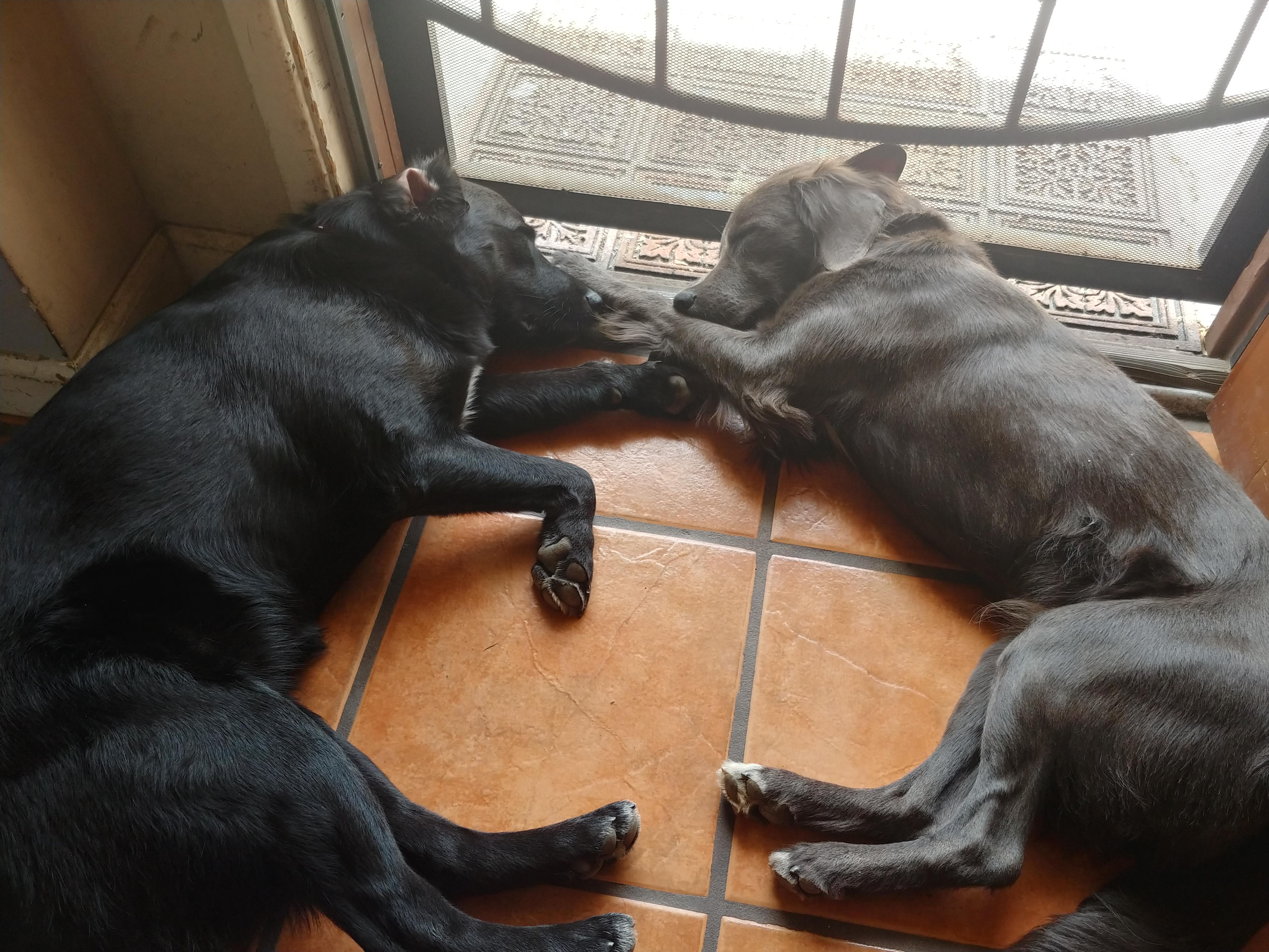 Sleepy babies. | Scrolller