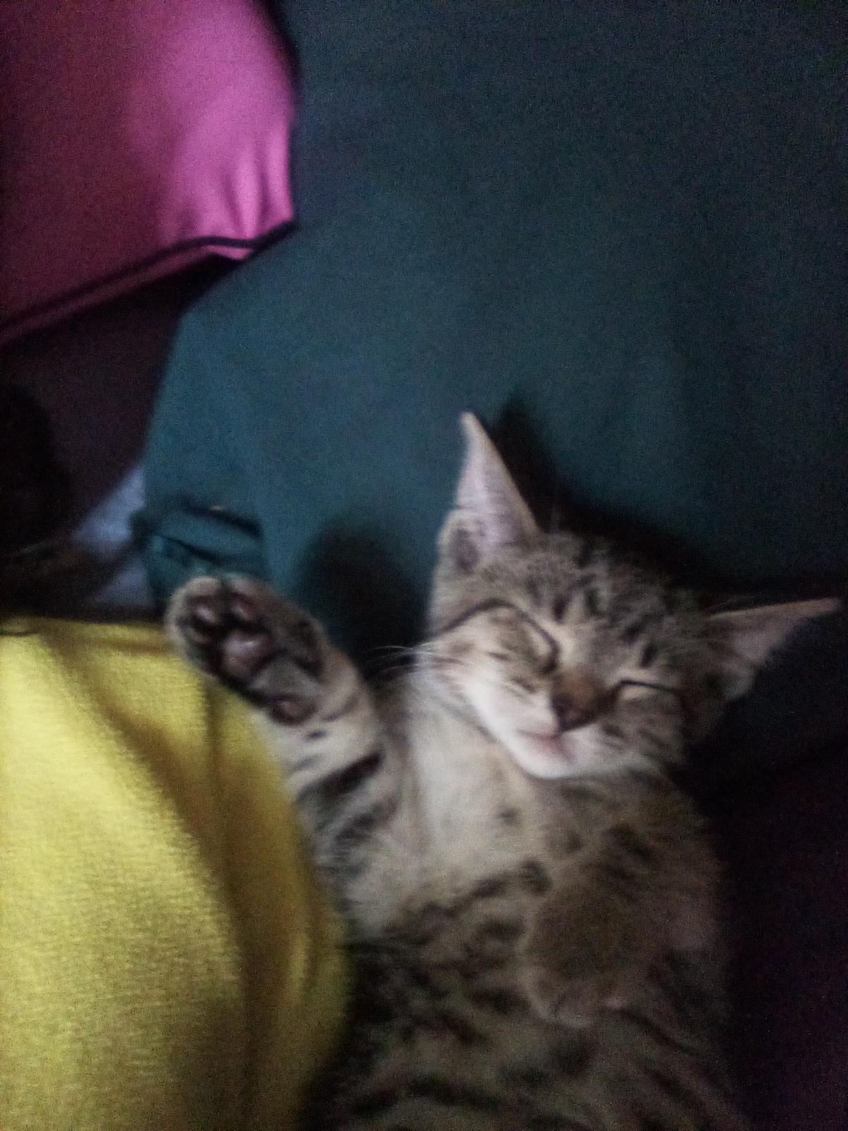 Sleepy baby 🥺 | Scrolller