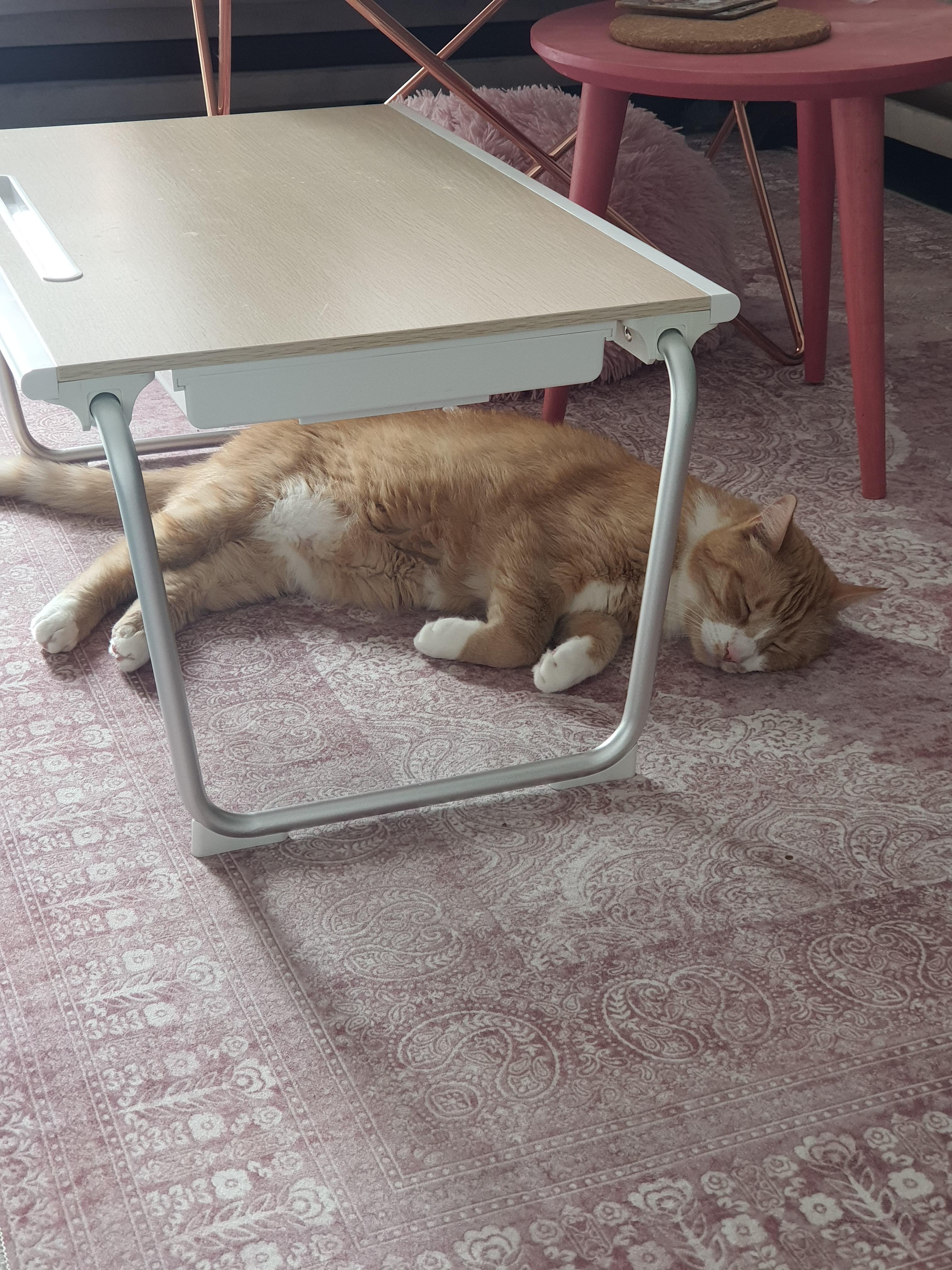 Sleepy boy | Scrolller