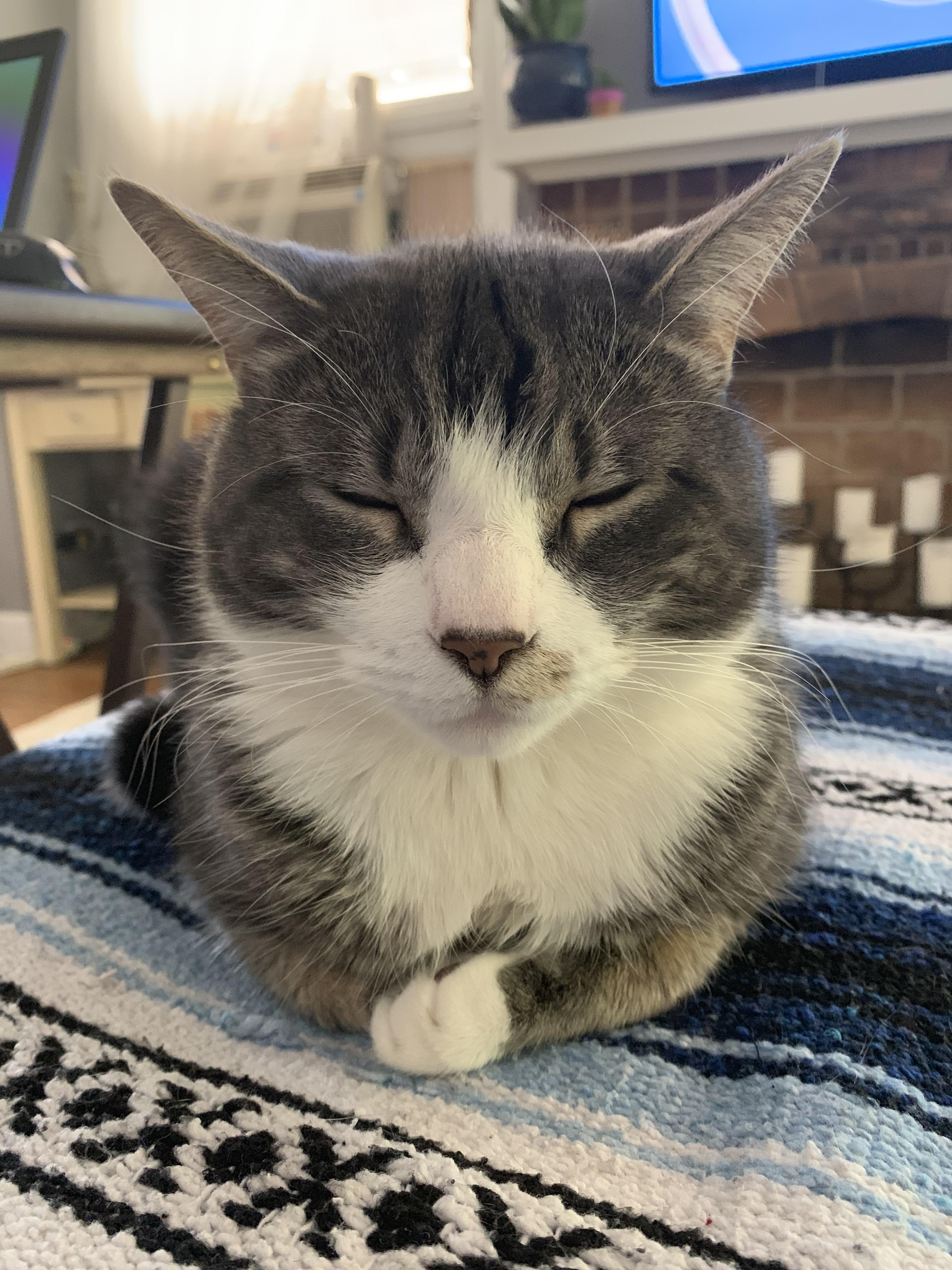 Sleepy Loaf | Scrolller